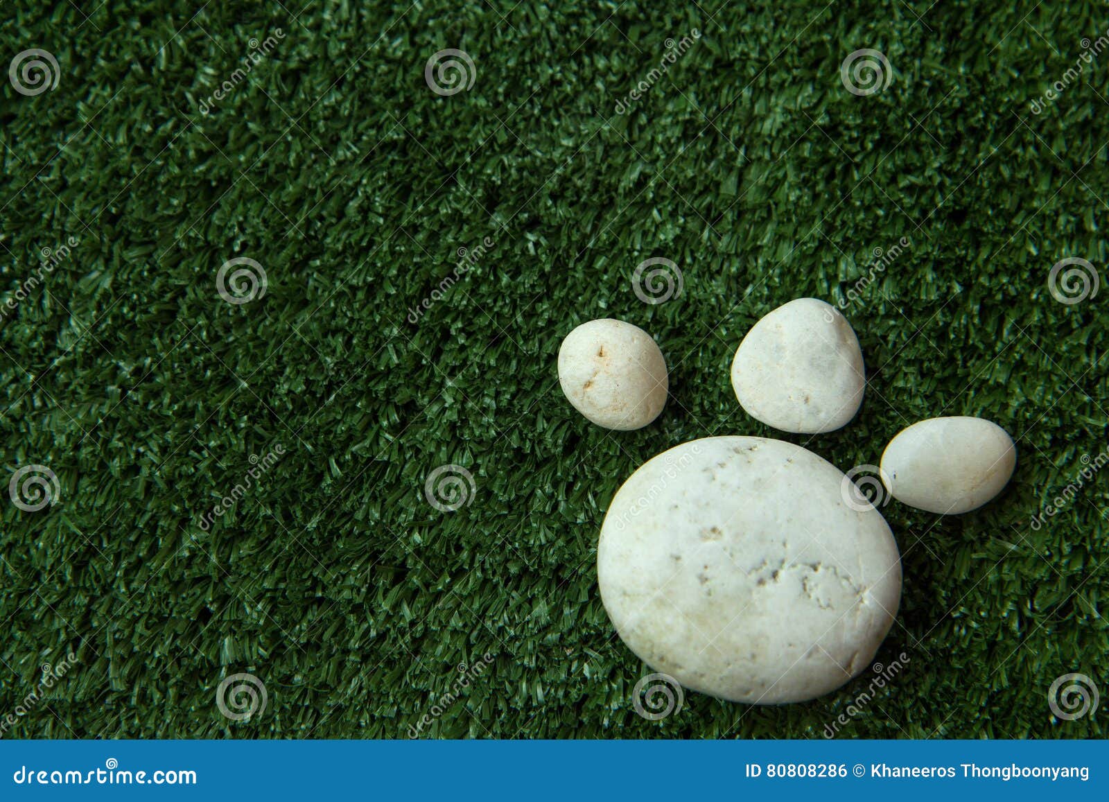 Dog`s Paw Made of Pebble Stone on Green Grass Stock Photo - Image of ...