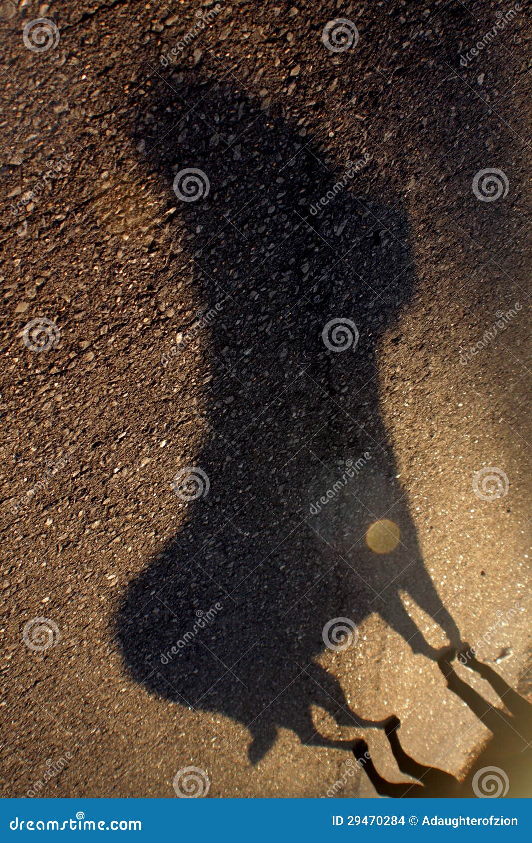 Dog s shadow stock photo. Image of shadow, black, noble - 29470284