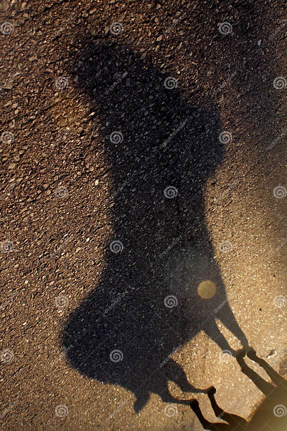 Dog s shadow stock photo. Image of shadow, black, noble - 29470284