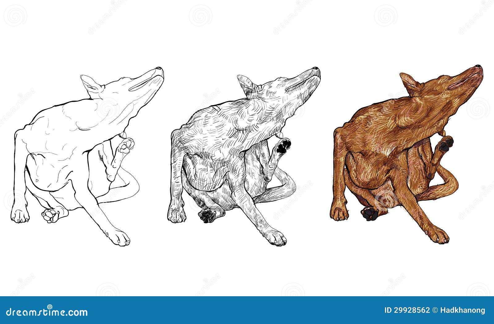 Scratching dog stock illustration. Illustration of portrait - 29928562