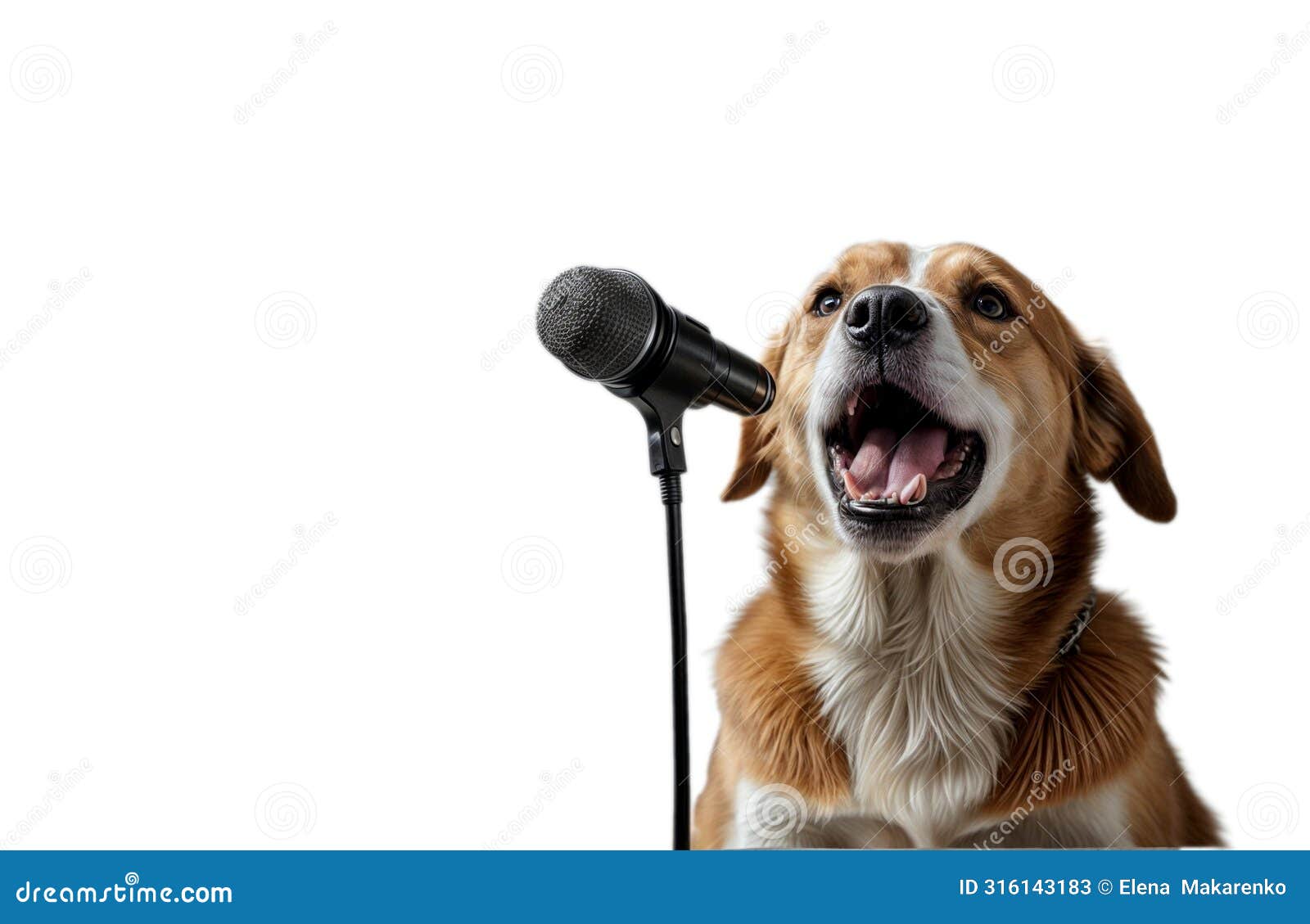 Dog Screams into the Microphone Stock Illustration - Illustration of ...