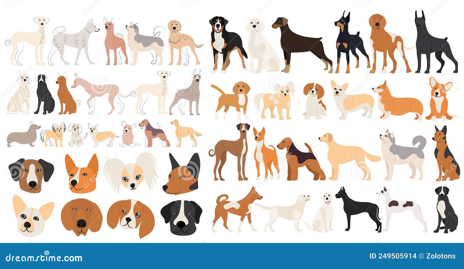 Dog Set in Flat Design,on White Background Isolated Stock Vector ...