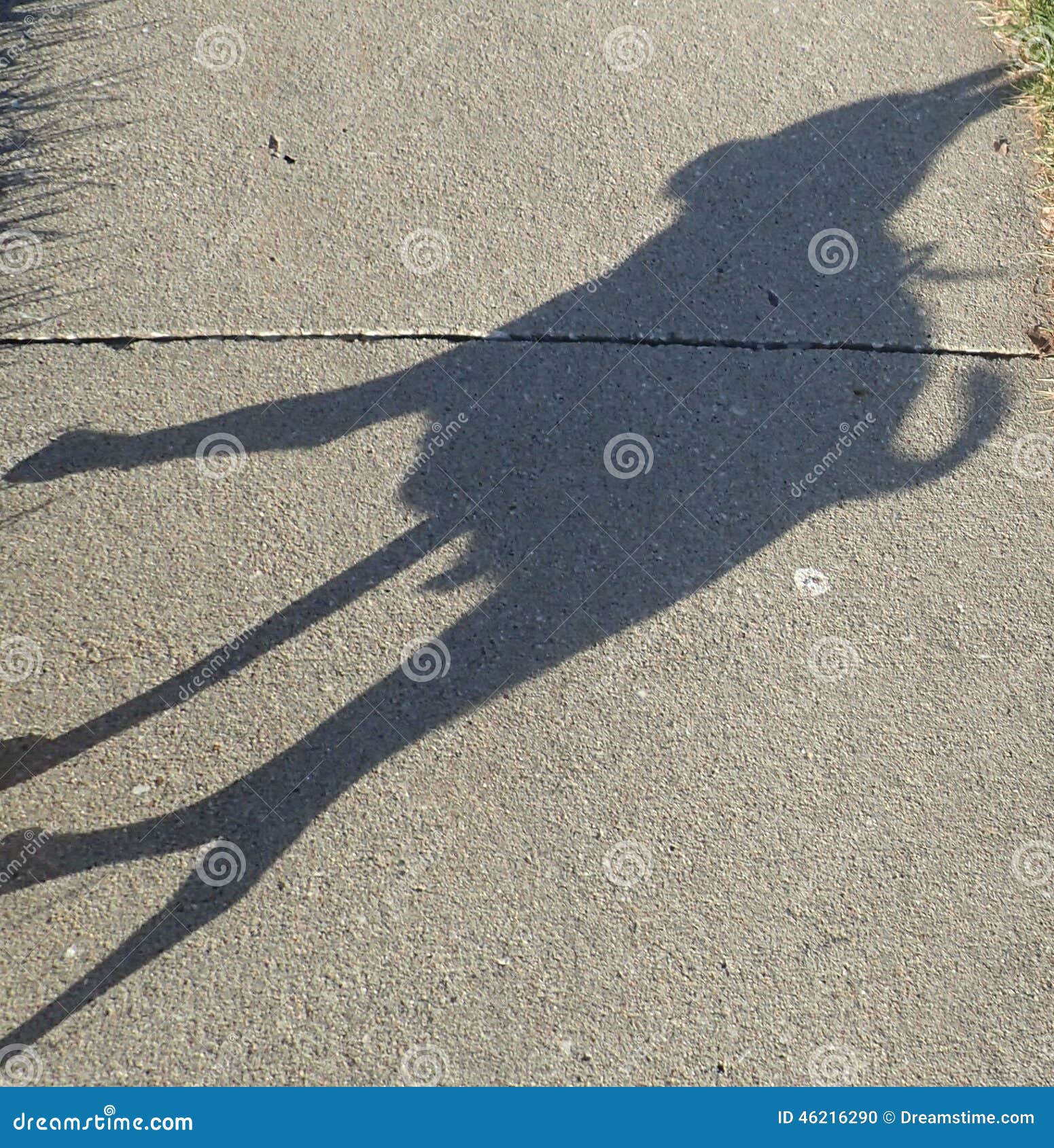 Dog Shadow stock photo. Image of walking, chihuahua, shadow - 46216290