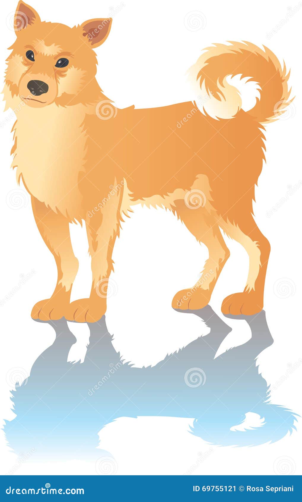 A dog with shadow stock image. Image of tail, shadow - 69755121