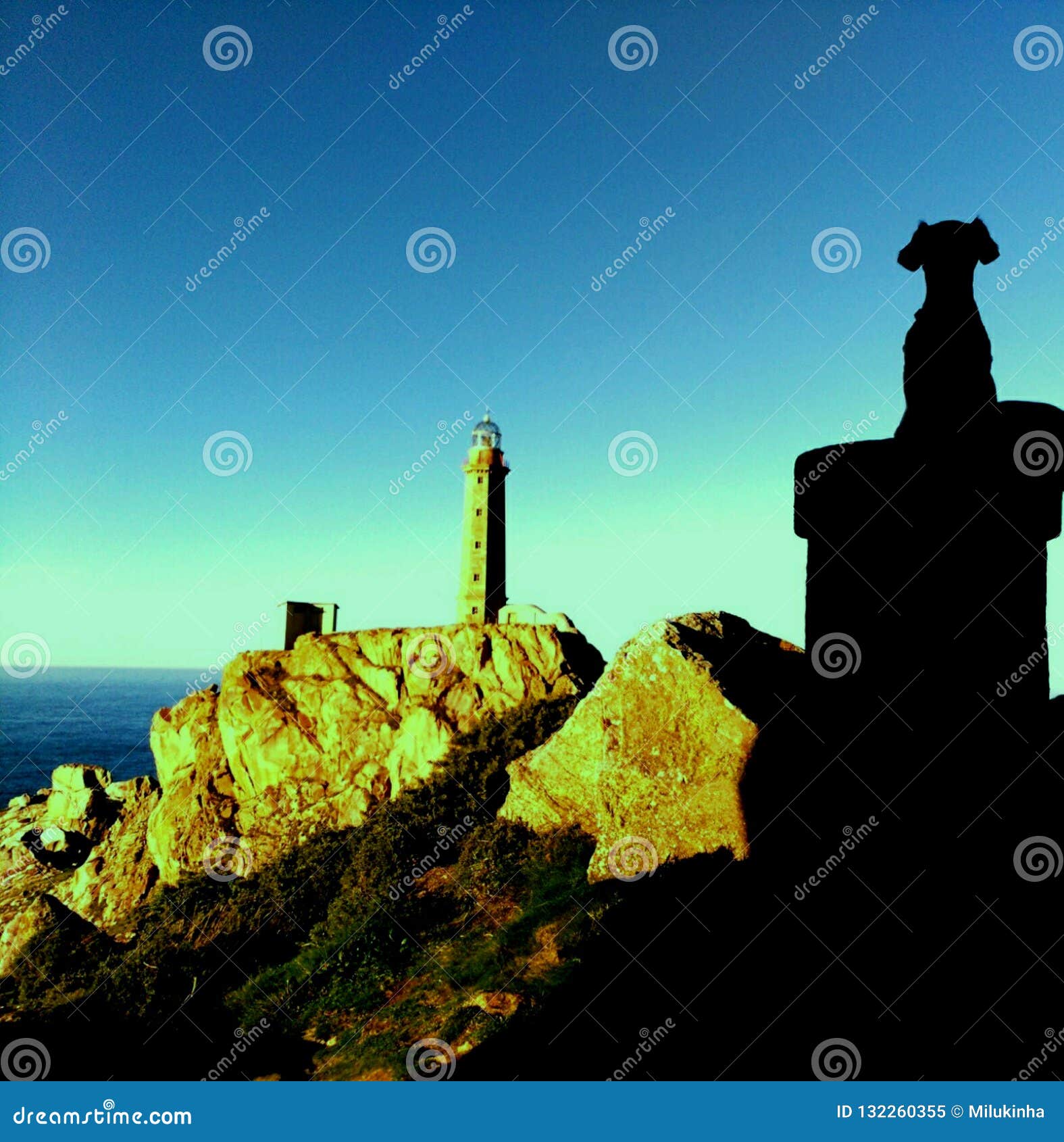 Dog in the Shadow in Lighthouse Stock Image - Image of silhouete ...
