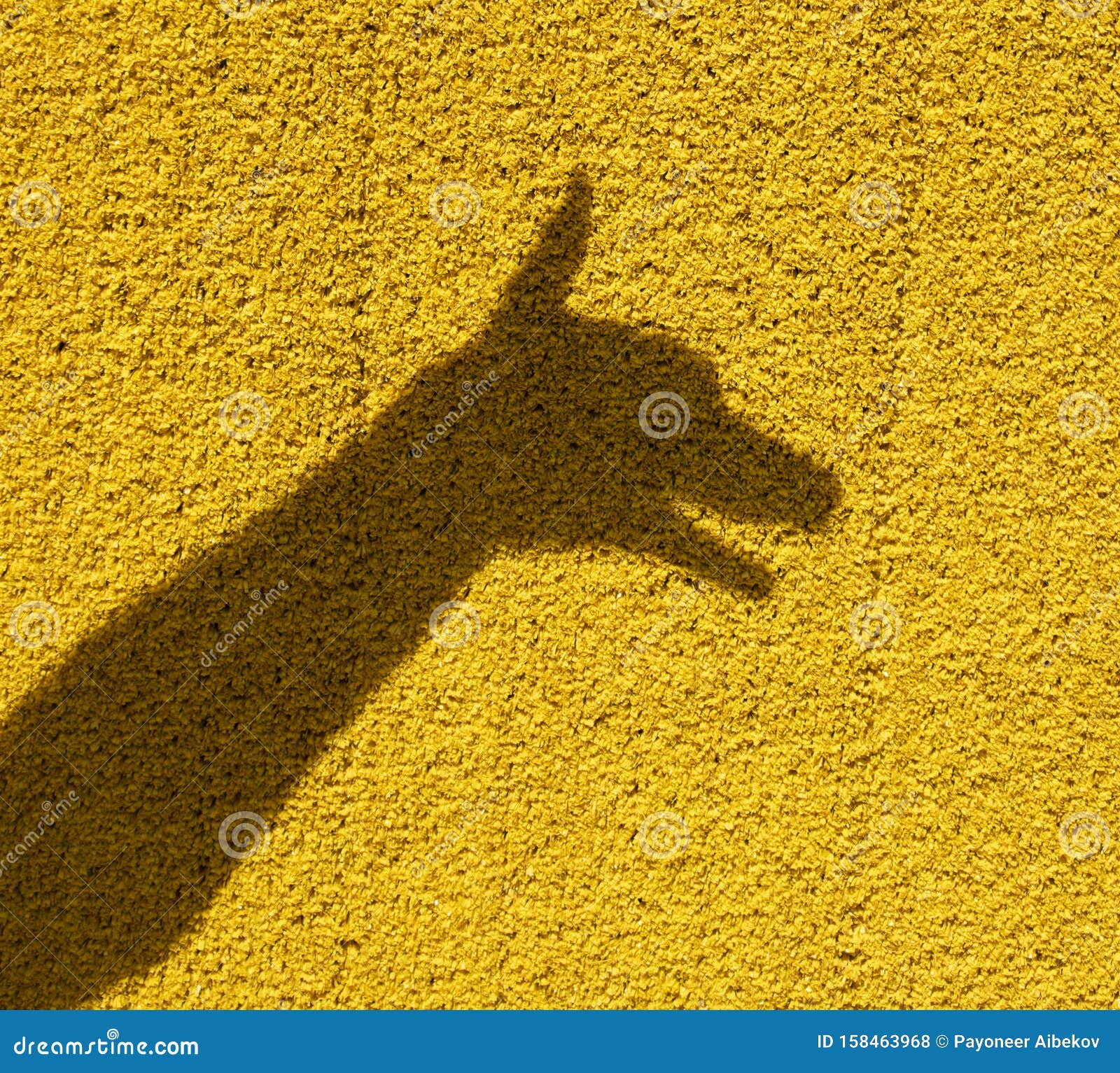 Dog Shadow on Yellow Wall, Focus on Shadow Stock Photo - Image of small ...