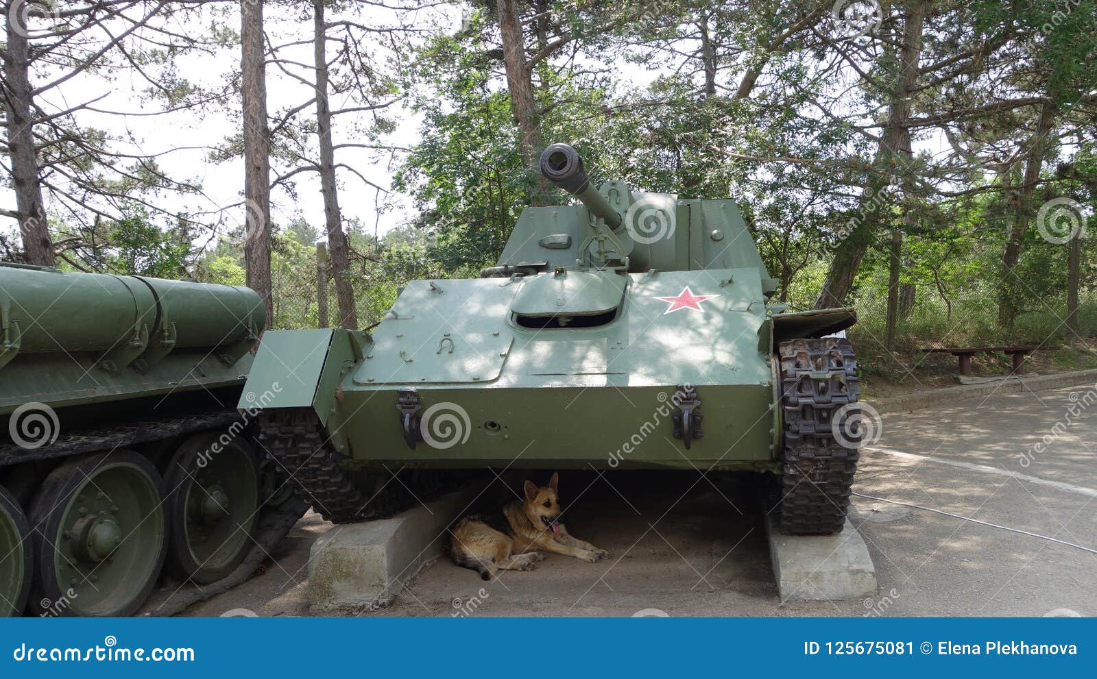 Dog sitting under the tank stock image. Image of machine - 125675081