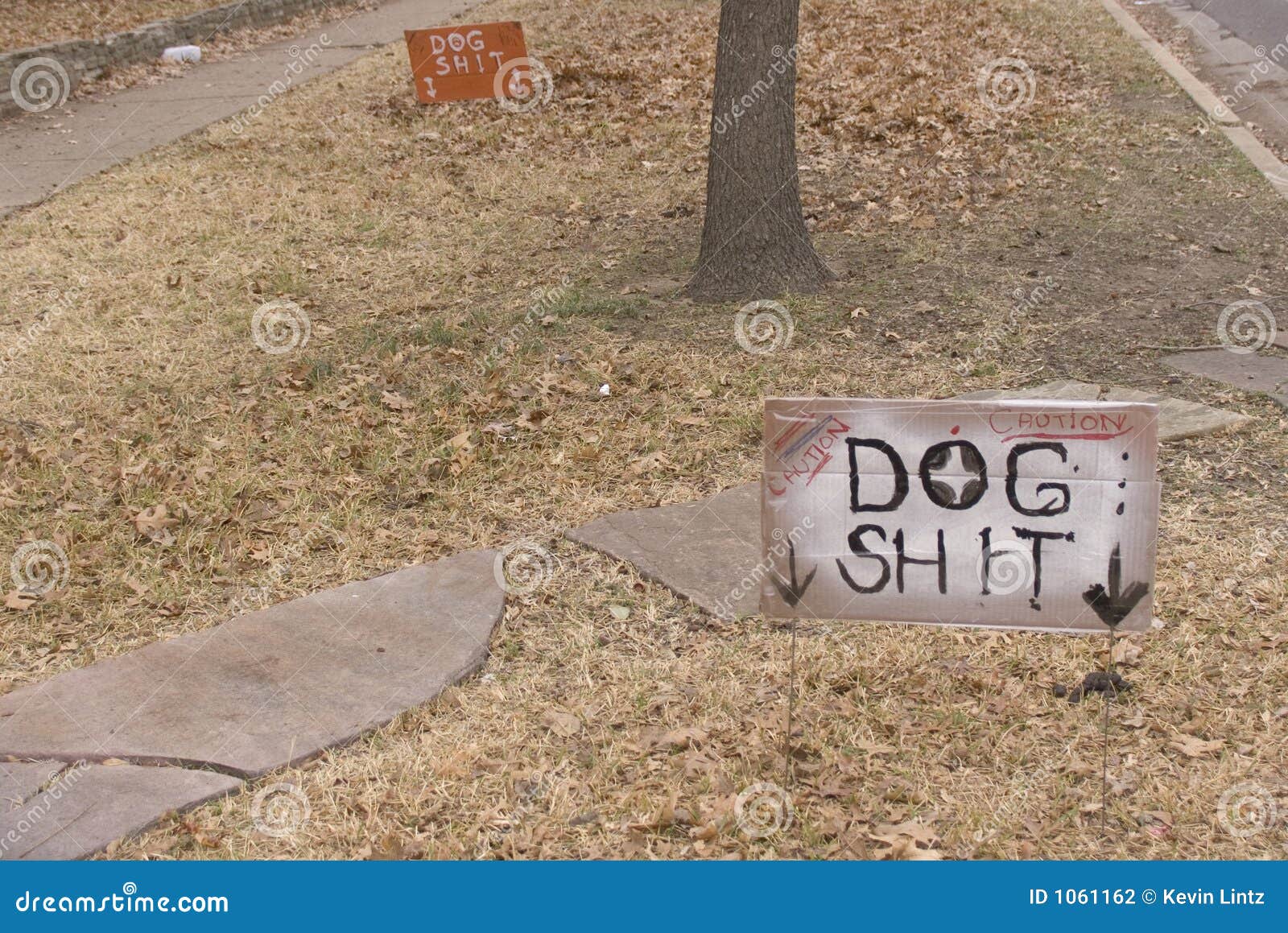 Dog Shit stock photo. Image of waste, sign, leaf, turd - 1061162