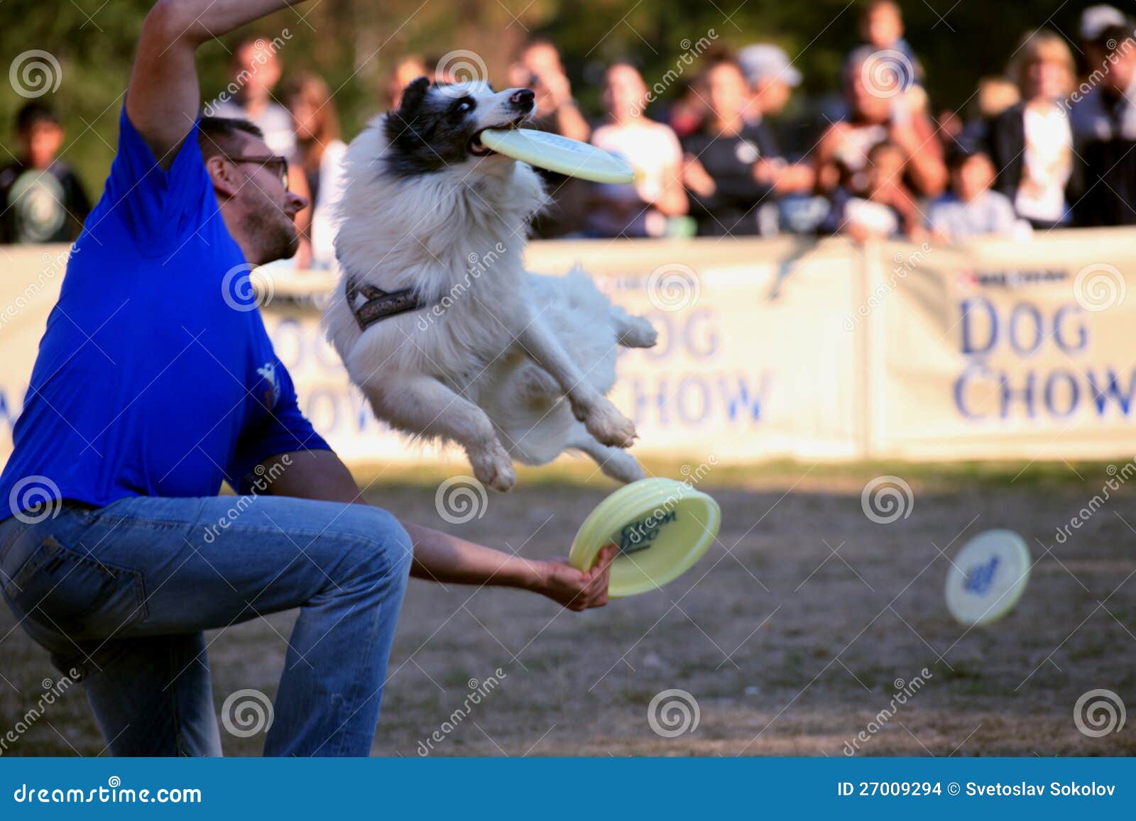 Dog show editorial stock image. Image of sport, action - 27009294