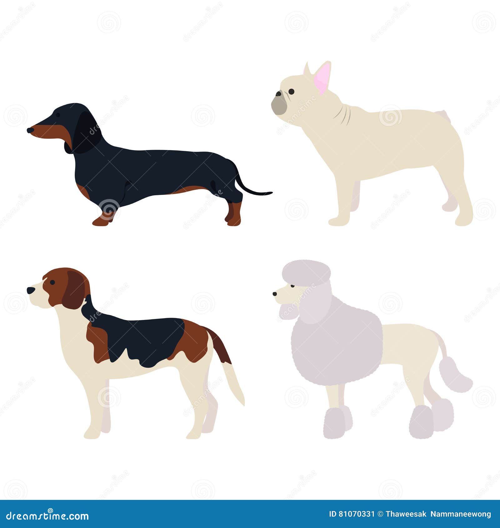 Dog Side View Set 2 stock vector. Illustration of poodle - 81070331