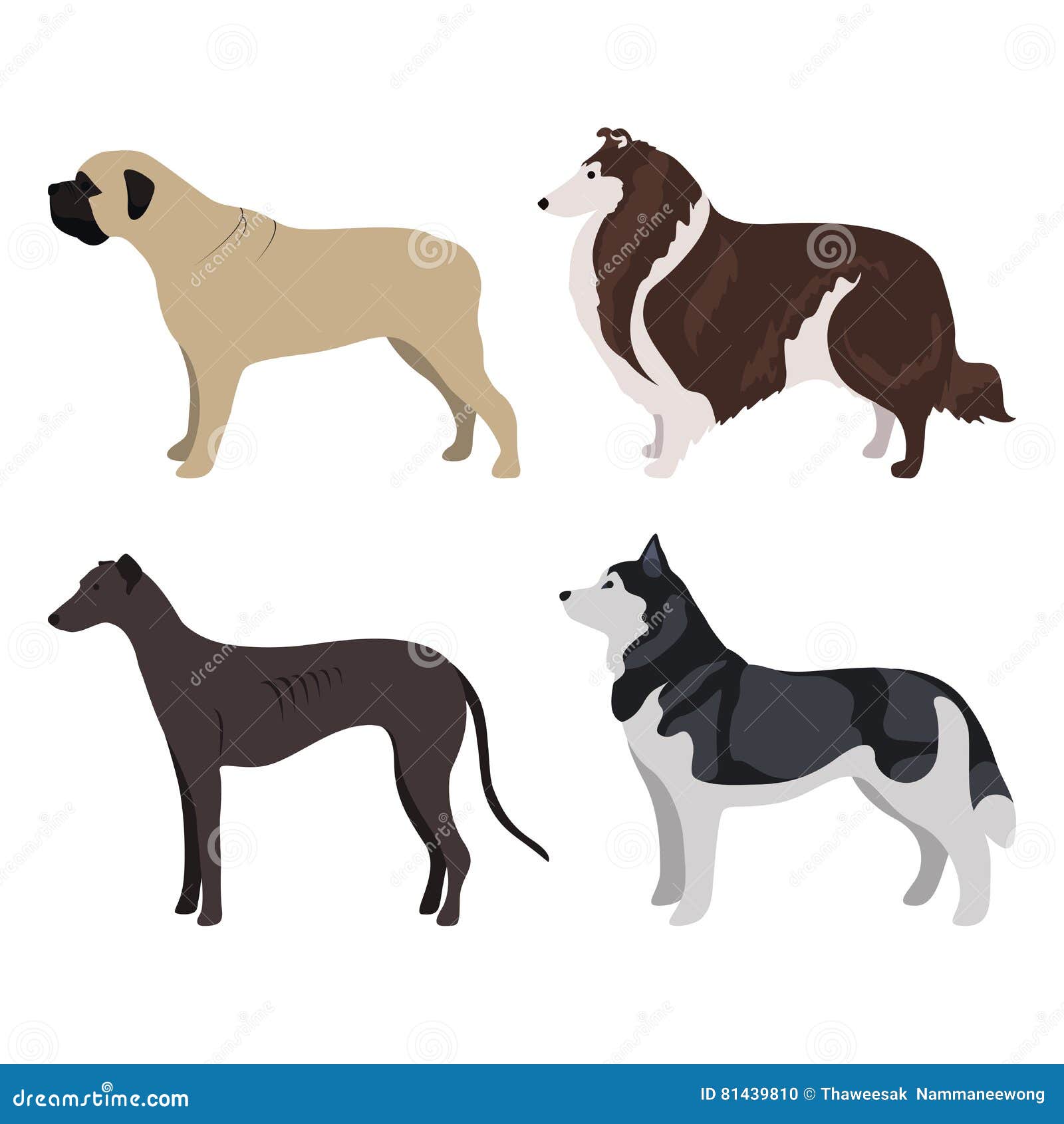 Dog Side View Set 3 stock vector. Illustration of cute - 81439810