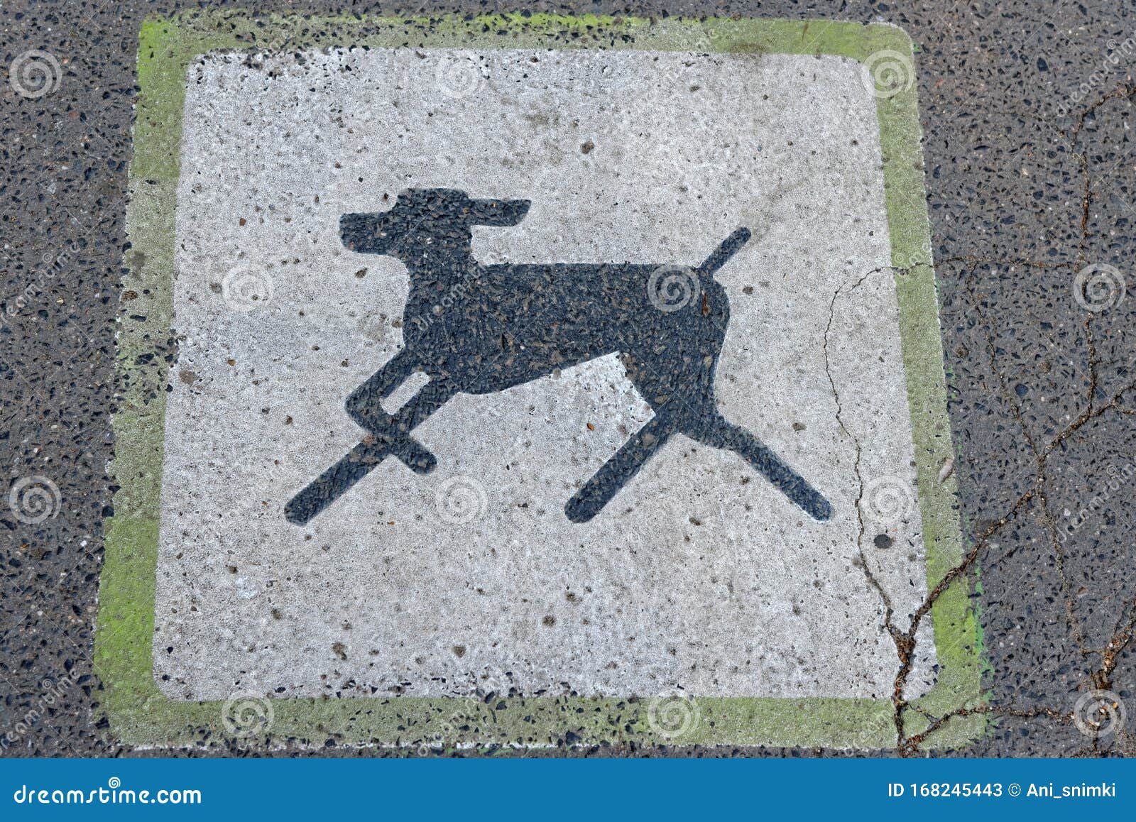 A dog sign stock image. Image of mammal, highway, banner - 168245443