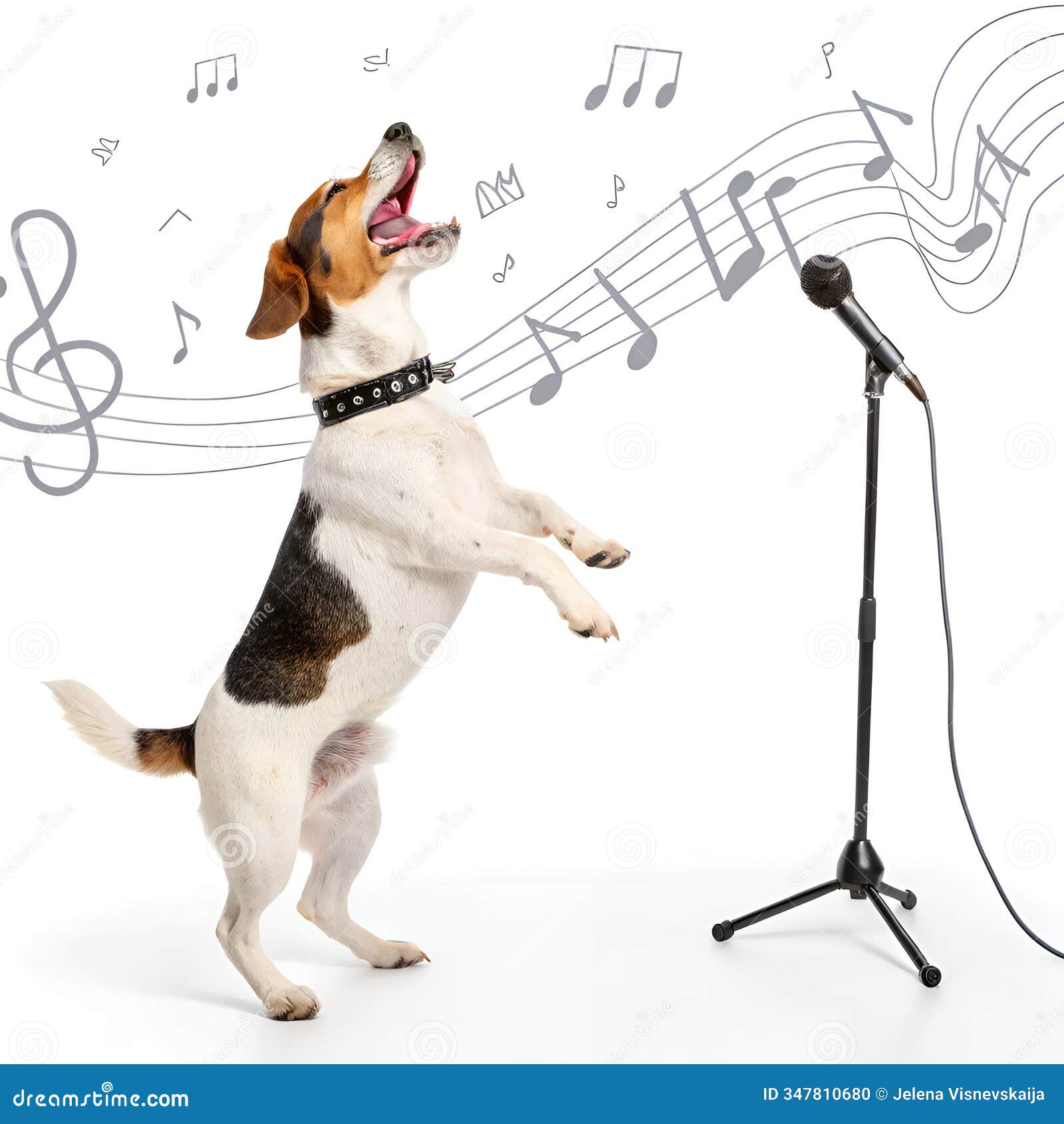 A Dog is Singing into a Microphone Stock Illustration - Illustration of ...