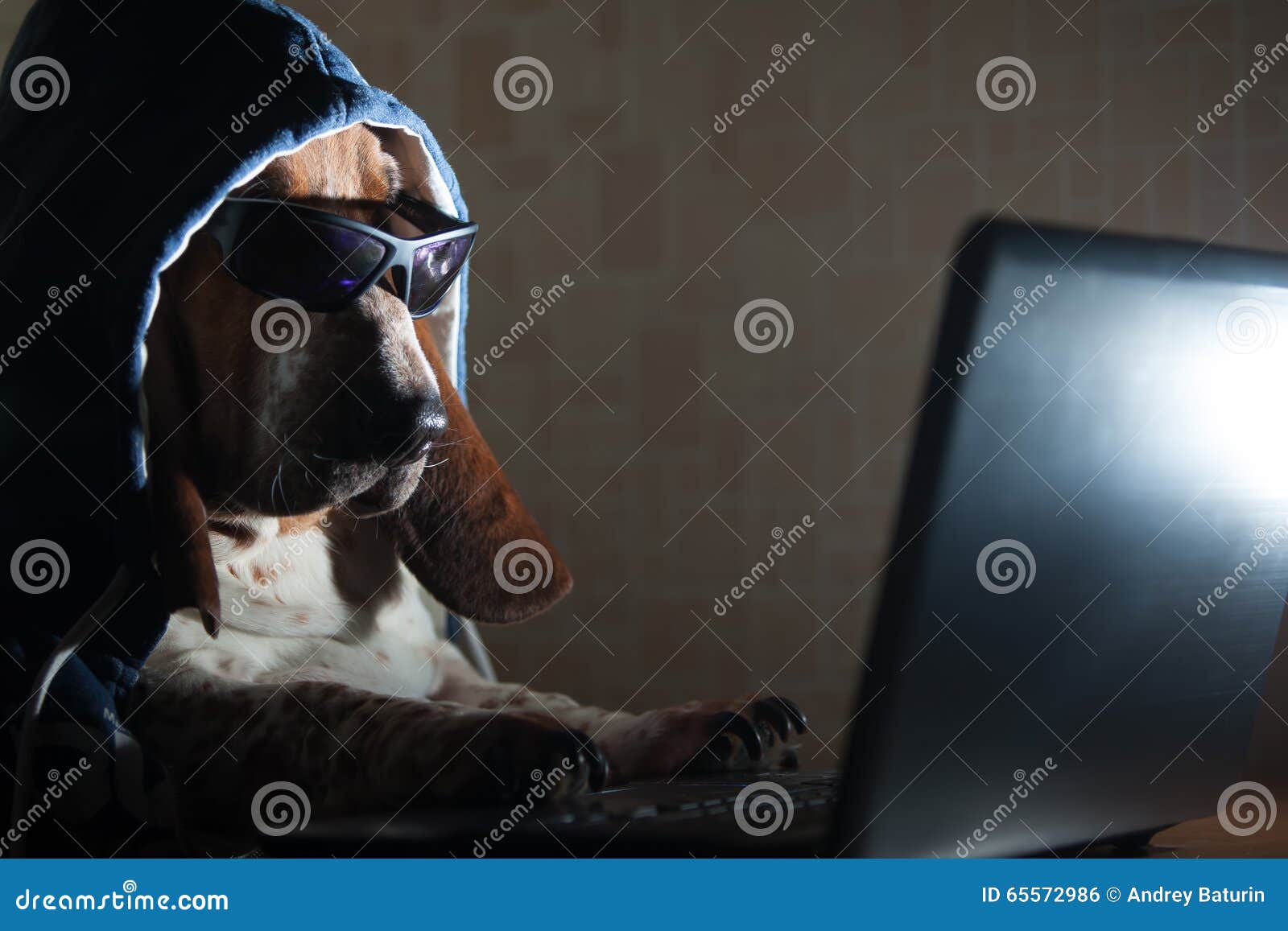 Dog Sitting in Front of Computer Stock Photo - Image of room, unknown ...