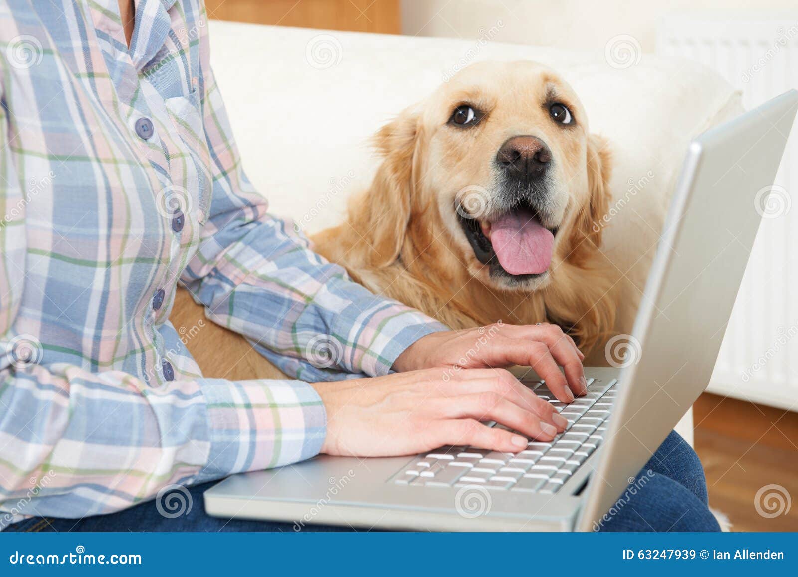 Dog Sitting Next To Owner Using Laptop Stock Image - Image of caucasian ...
