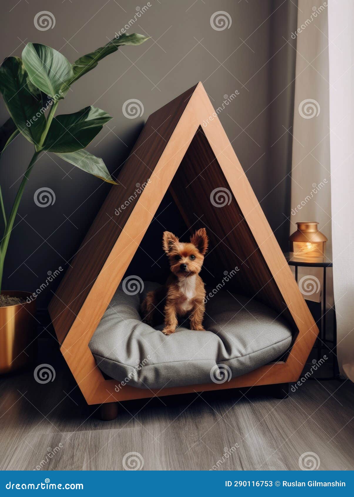 Dog Sitting in Pet Booth. Cozy House Inside Interior Stock Image ...