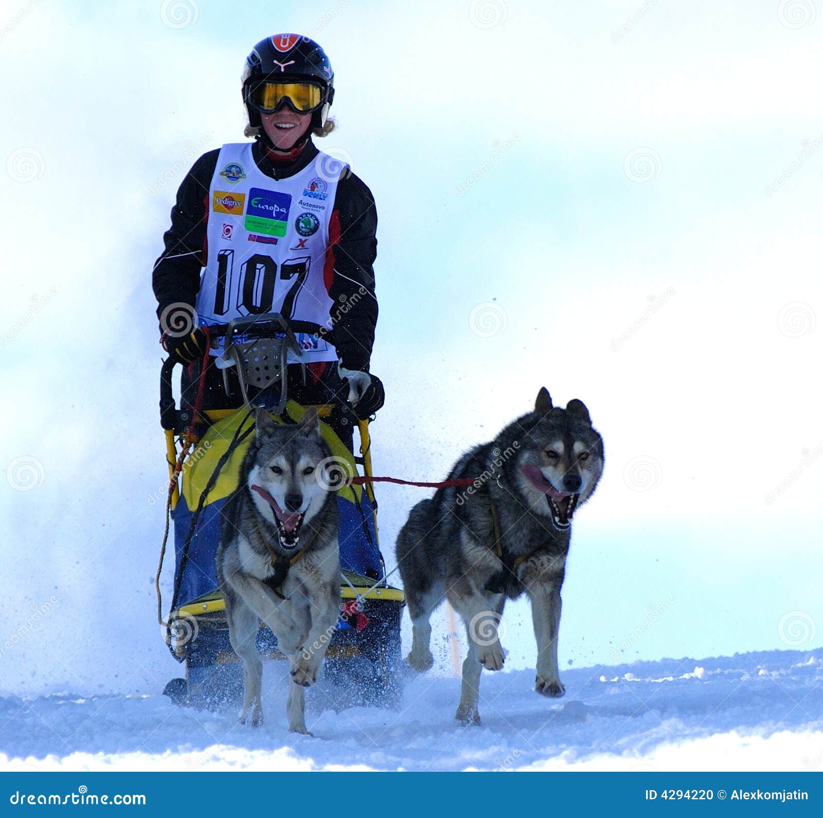 Dog sled editorial image. Image of germany, competition - 4294220