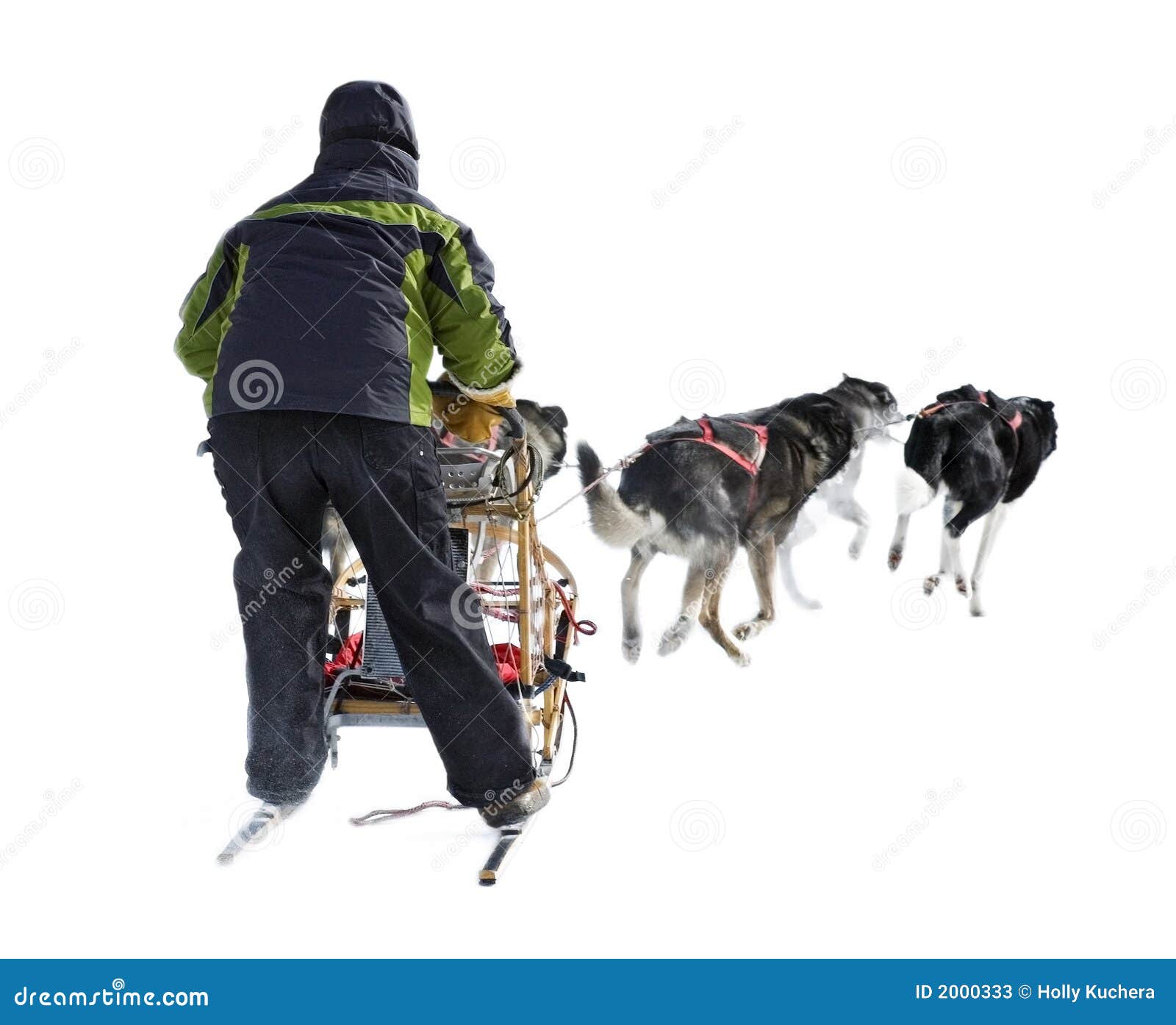 5,523 Dog Sled Musher Photos - Free & Royalty-Free Stock Photos from ...