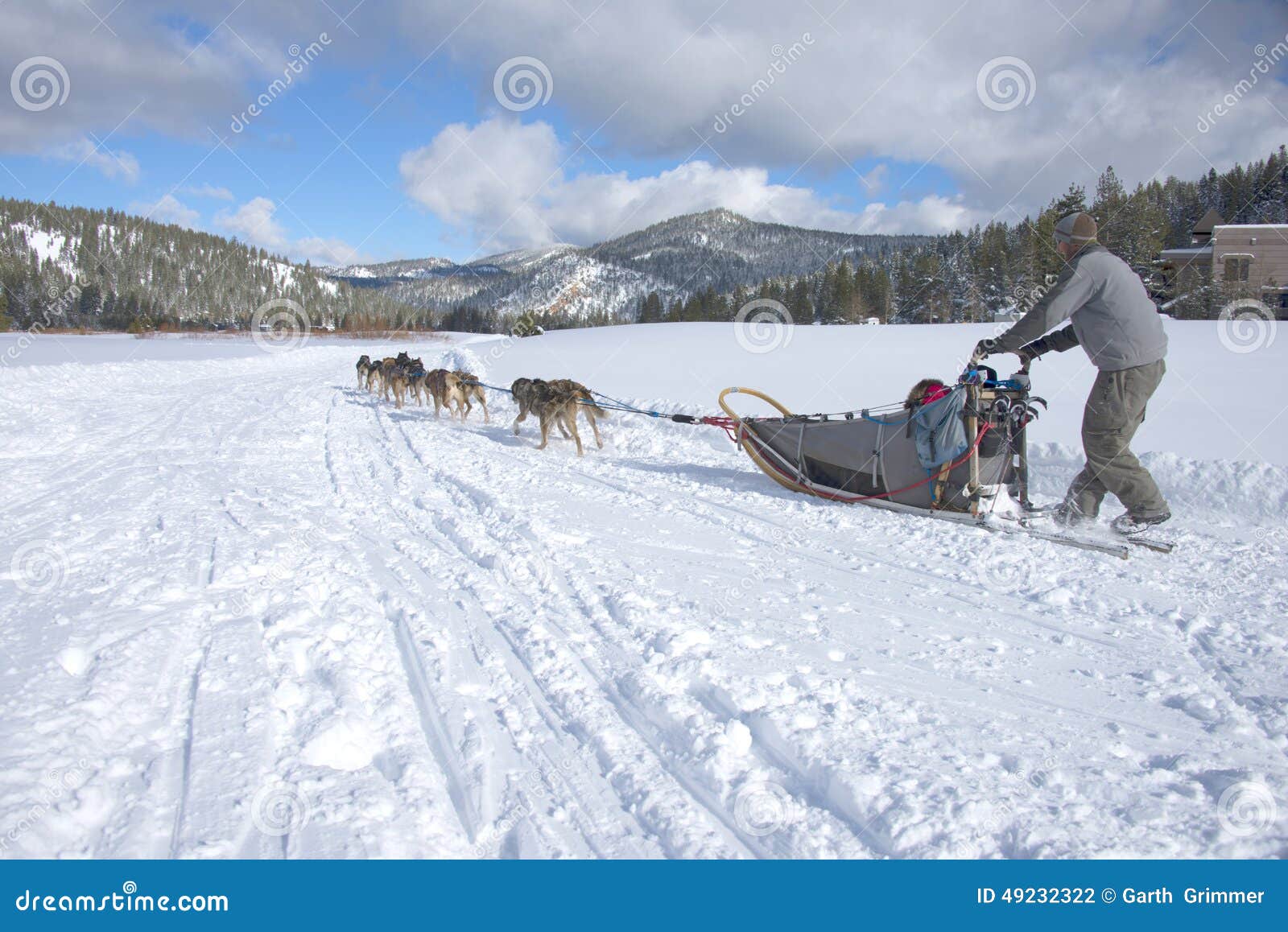 Dog sledging editorial photography. Image of snow, sledge - 49232322