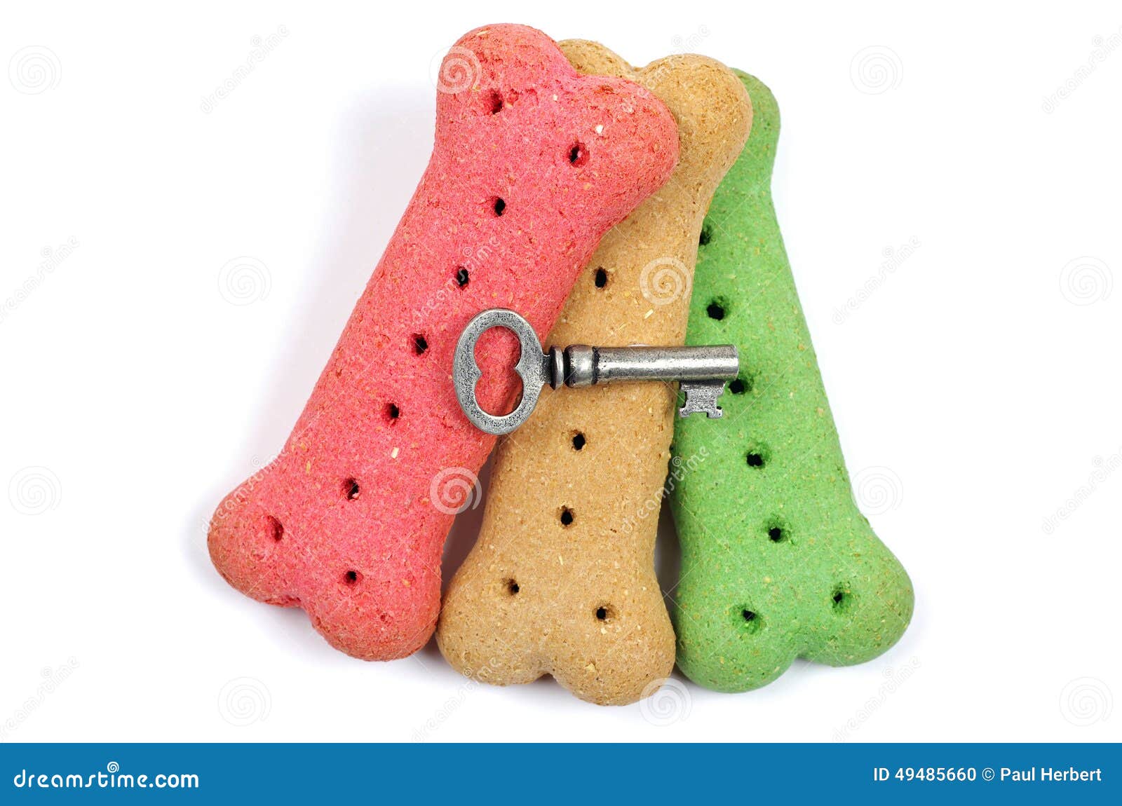 Dog snacks and silver key stock photo. Image of reward - 49485660