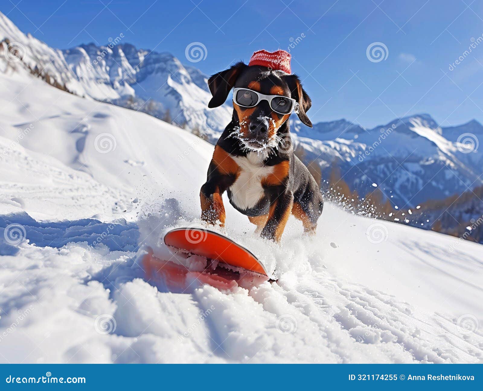 The Dog is Snowboarding. Artificial Intelligence. Stock Illustration ...