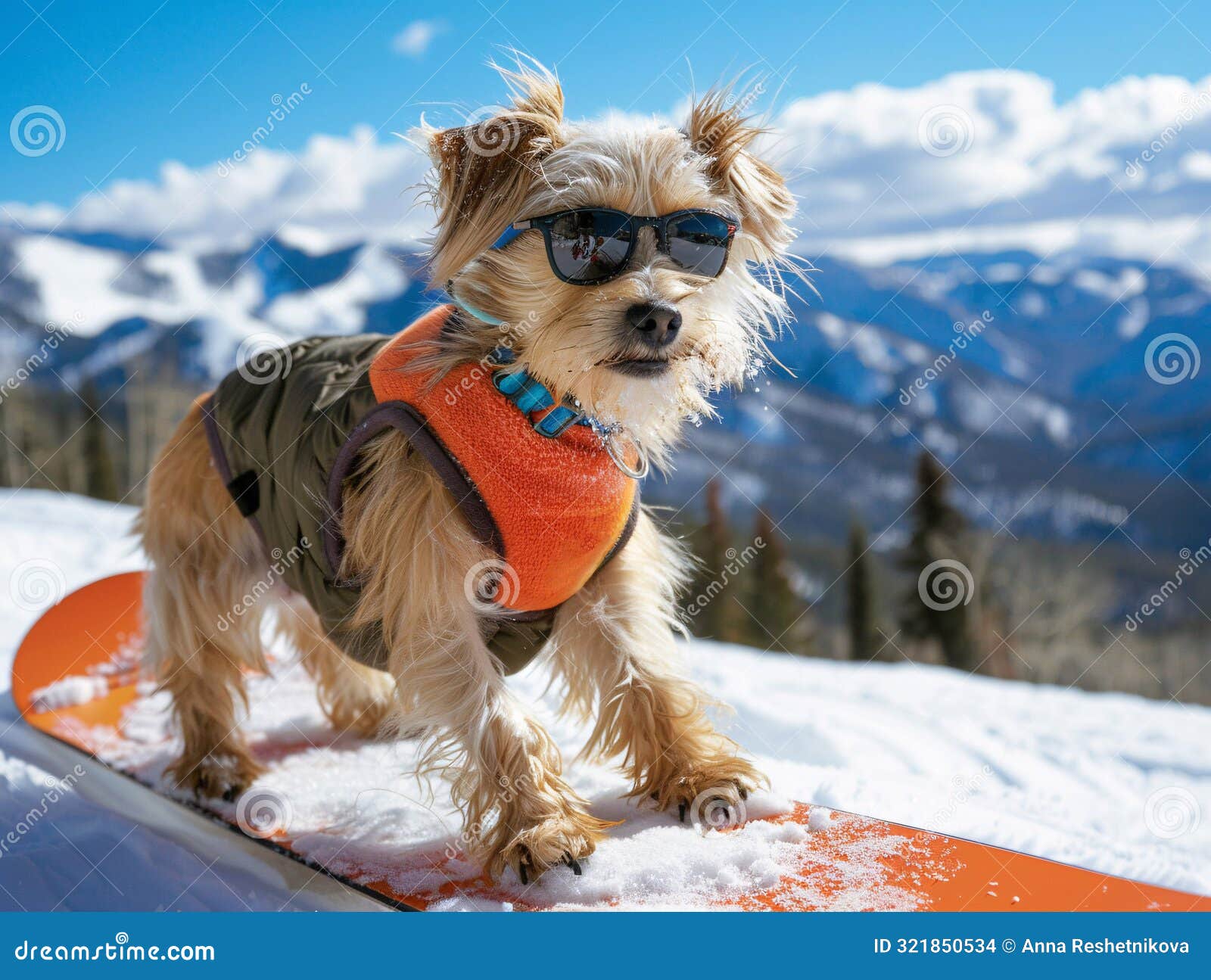 The Dog is Snowboarding. Artificial Intelligence. Stock Photo - Image ...