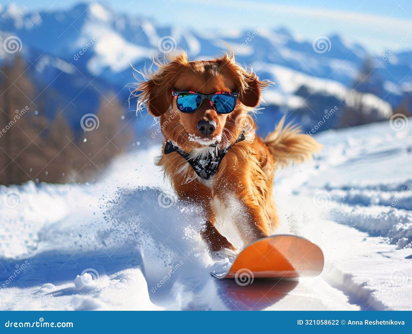 The Dog is Snowboarding. Artificial Intelligence. Stock Photo - Image ...