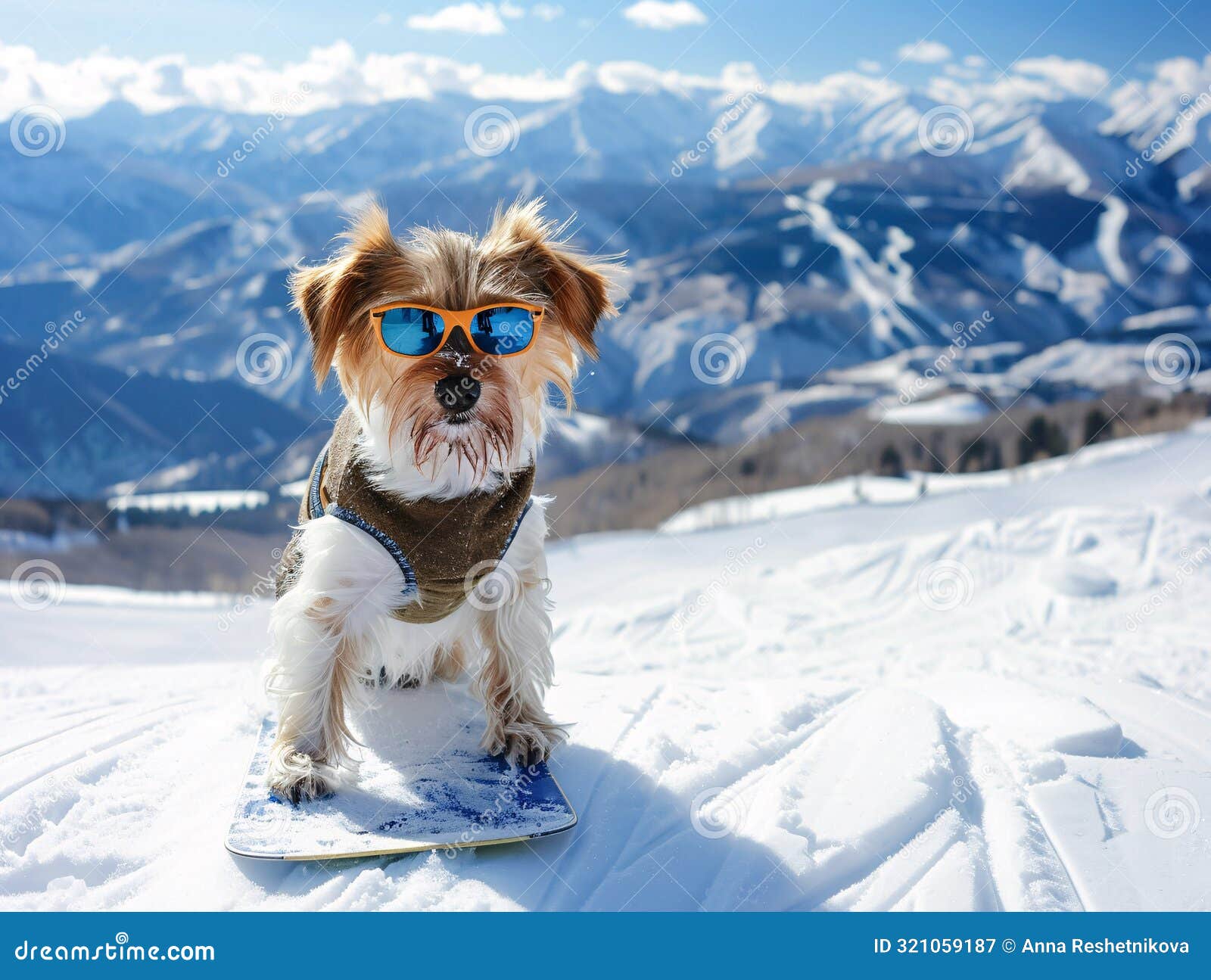 The Dog is Snowboarding. Artificial Intelligence. Stock Image - Image ...