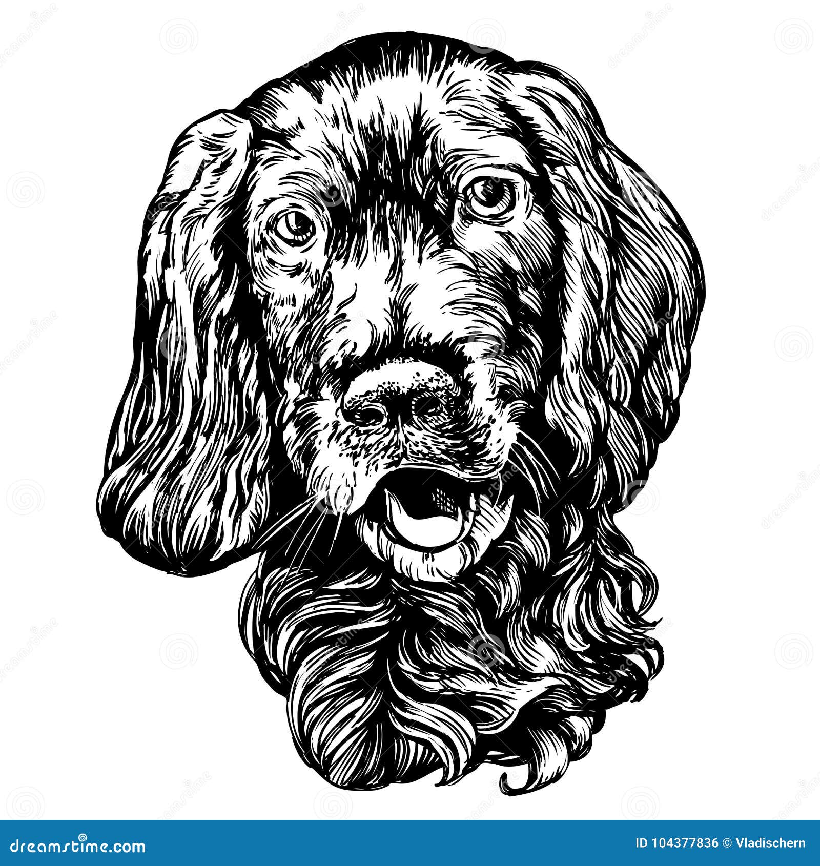 Dog Spaniel Pet Hand Drawn Vector Illustration Realistic Sketch. Stock ...