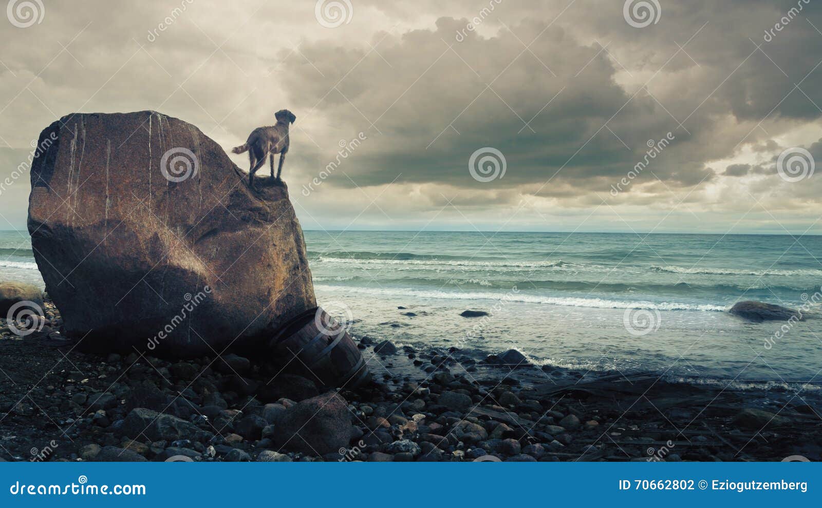 Dog Standing on a Rock and Looking Over the Sea Stock Photo - Image of ...