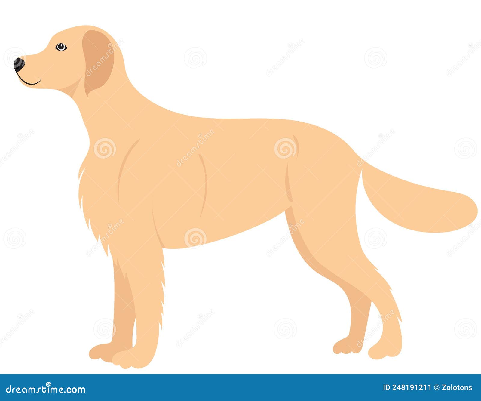 Dog Stands in Flat Design Isolated Stock Vector - Illustration of ...