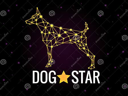 Dog star stock vector. Illustration of screen, shine - 50561988