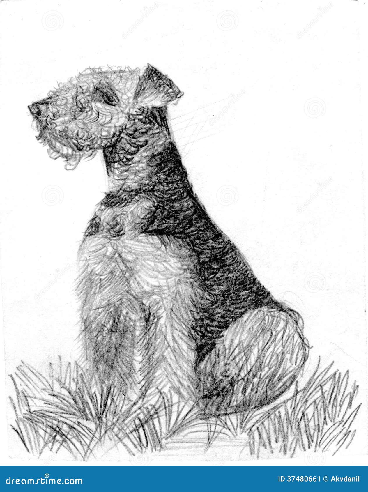 Dog stock illustration. Illustration of eyes, faithful - 37480661