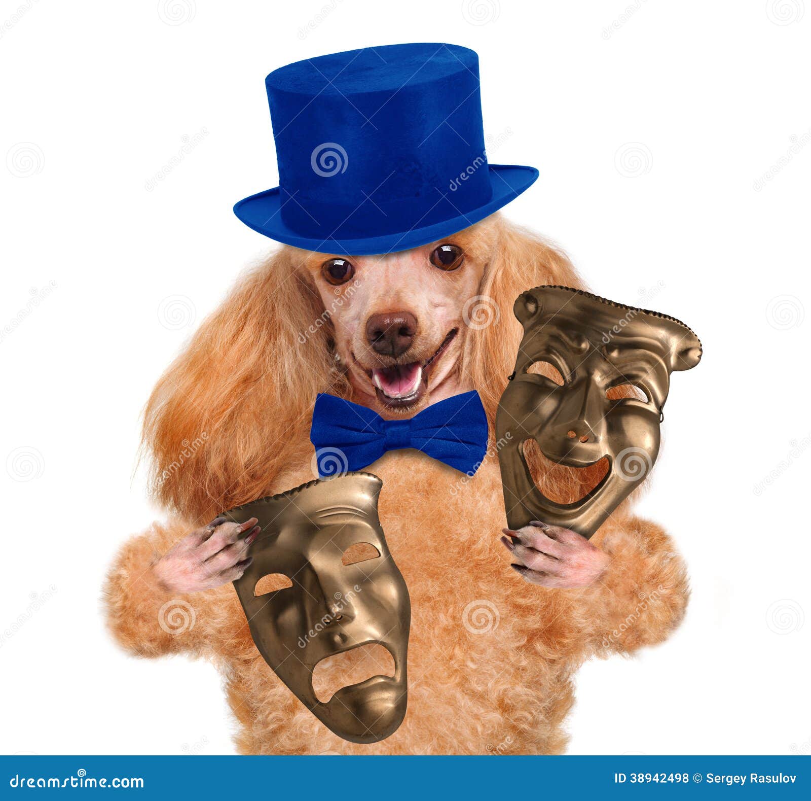 Dog with theatrical masks stock photo. Image of mask - 38942498