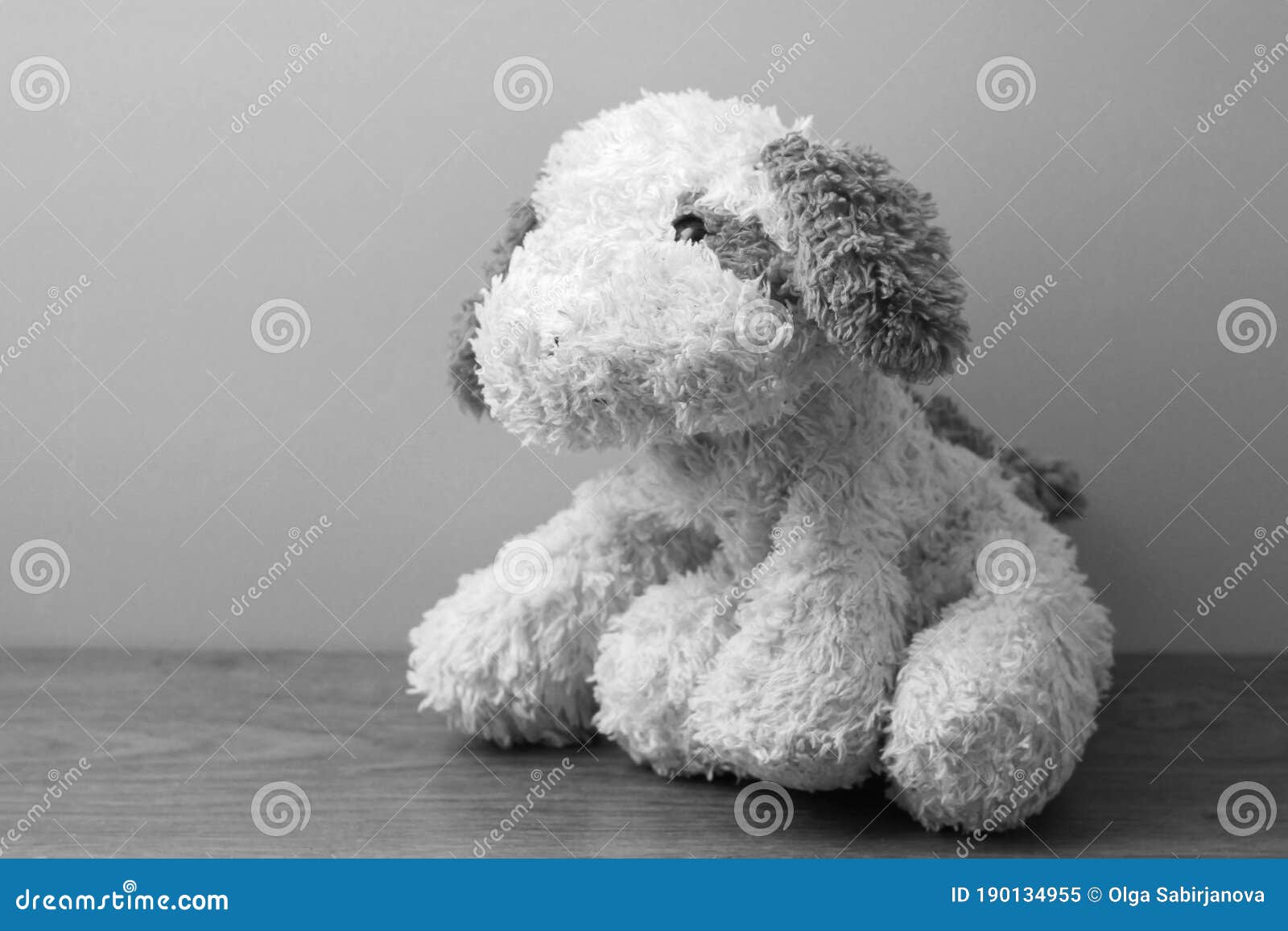 A Dog Toy Black and White Object Stock Image - Image of entire ...