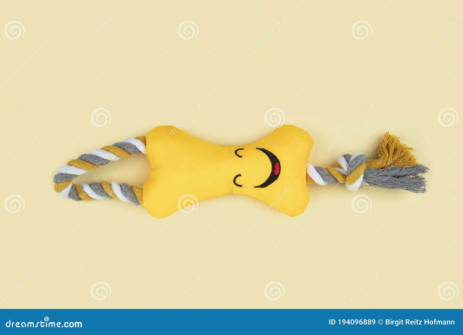 Dog Toy with Face stock image. Image of object, pets - 194096889
