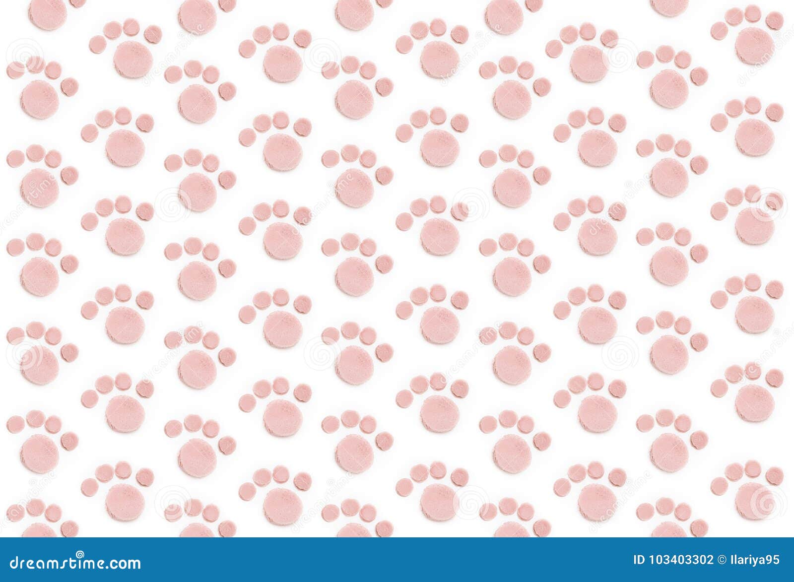 Dog Tracks on White Background Stock Photo - Image of green, cold ...