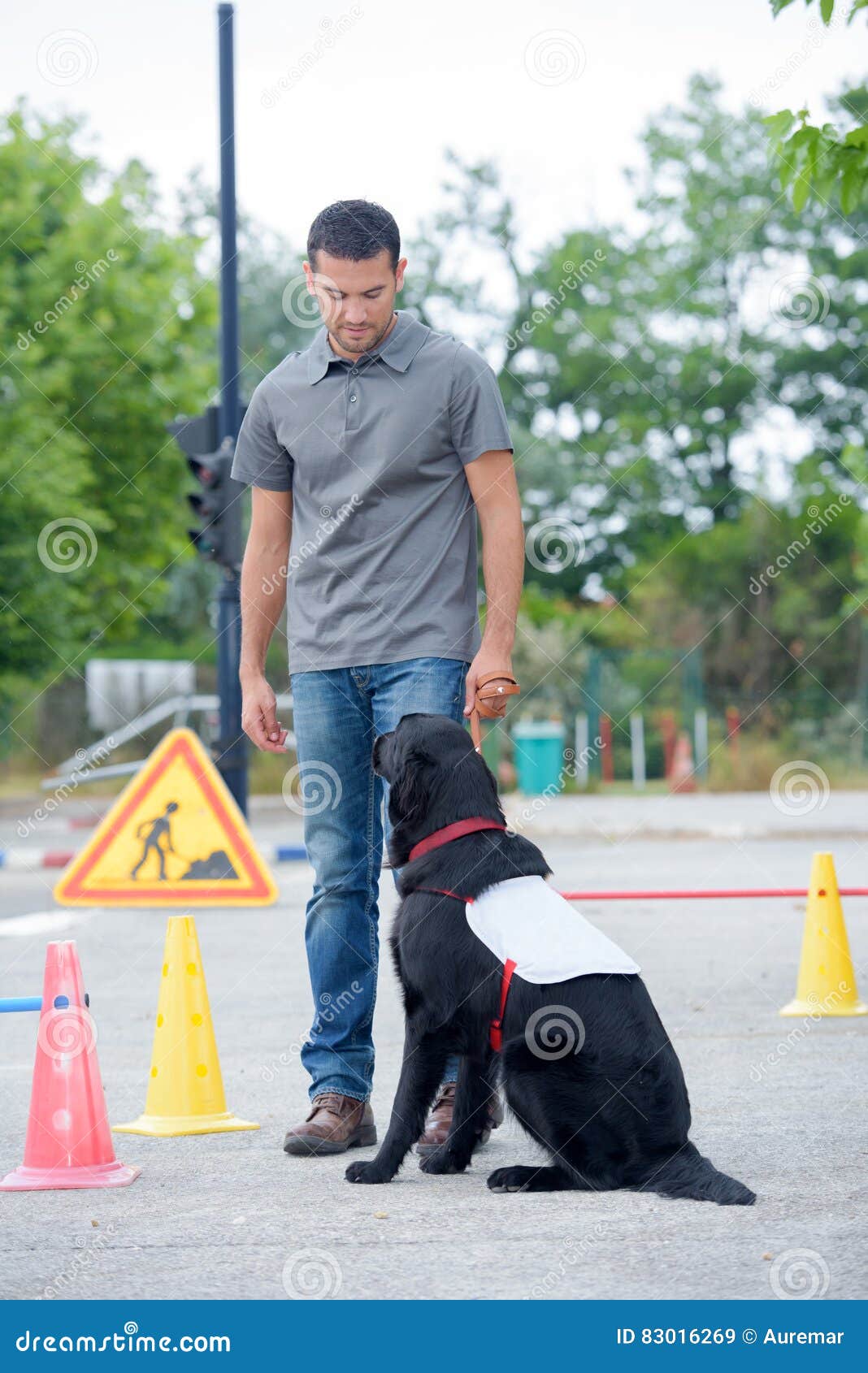 Dog trainer and dog stock image. Image of obedient, walk - 83016269