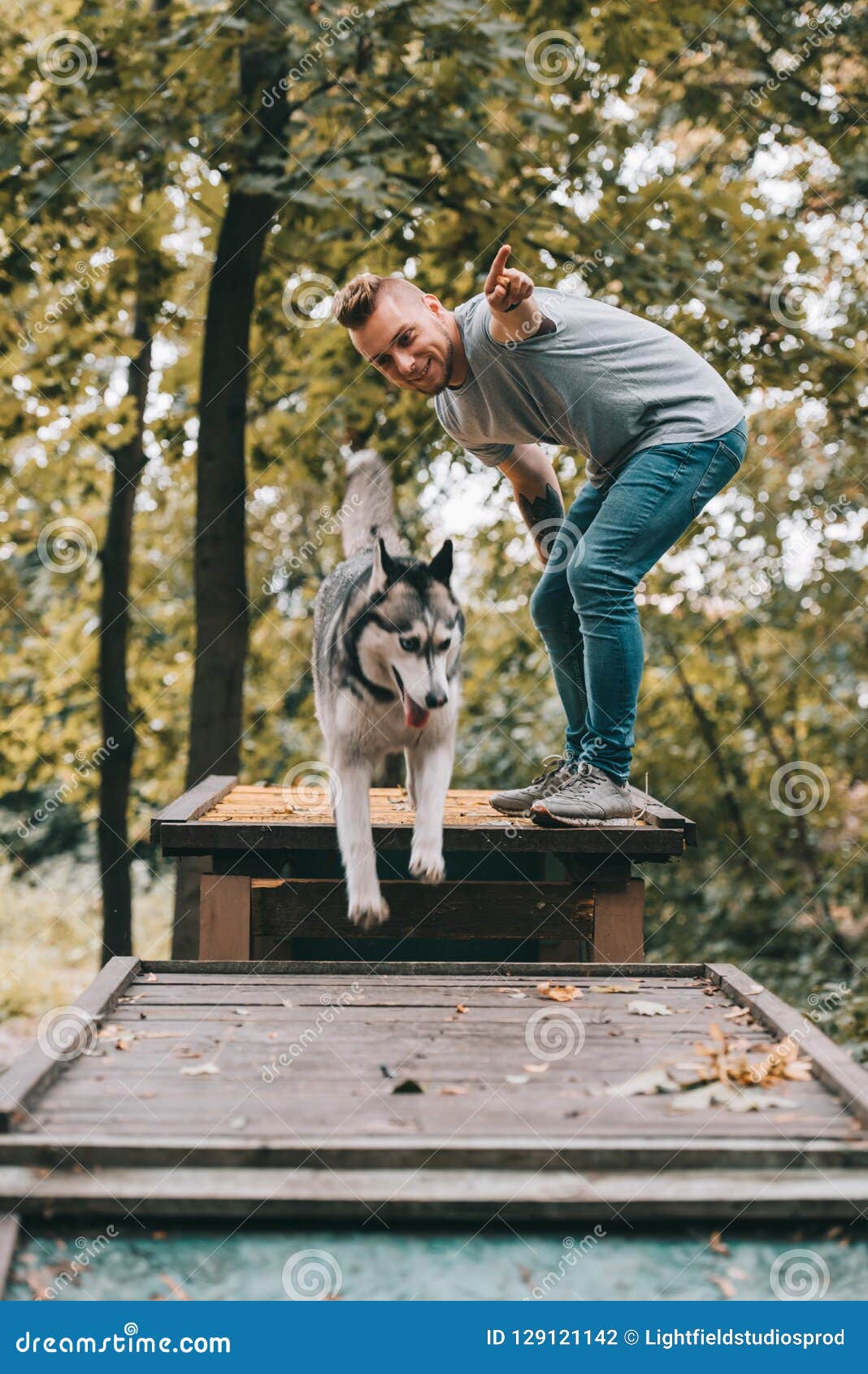 Dog Trainer With Jumping Husky Stock Photo - Image of cynology, jump ...