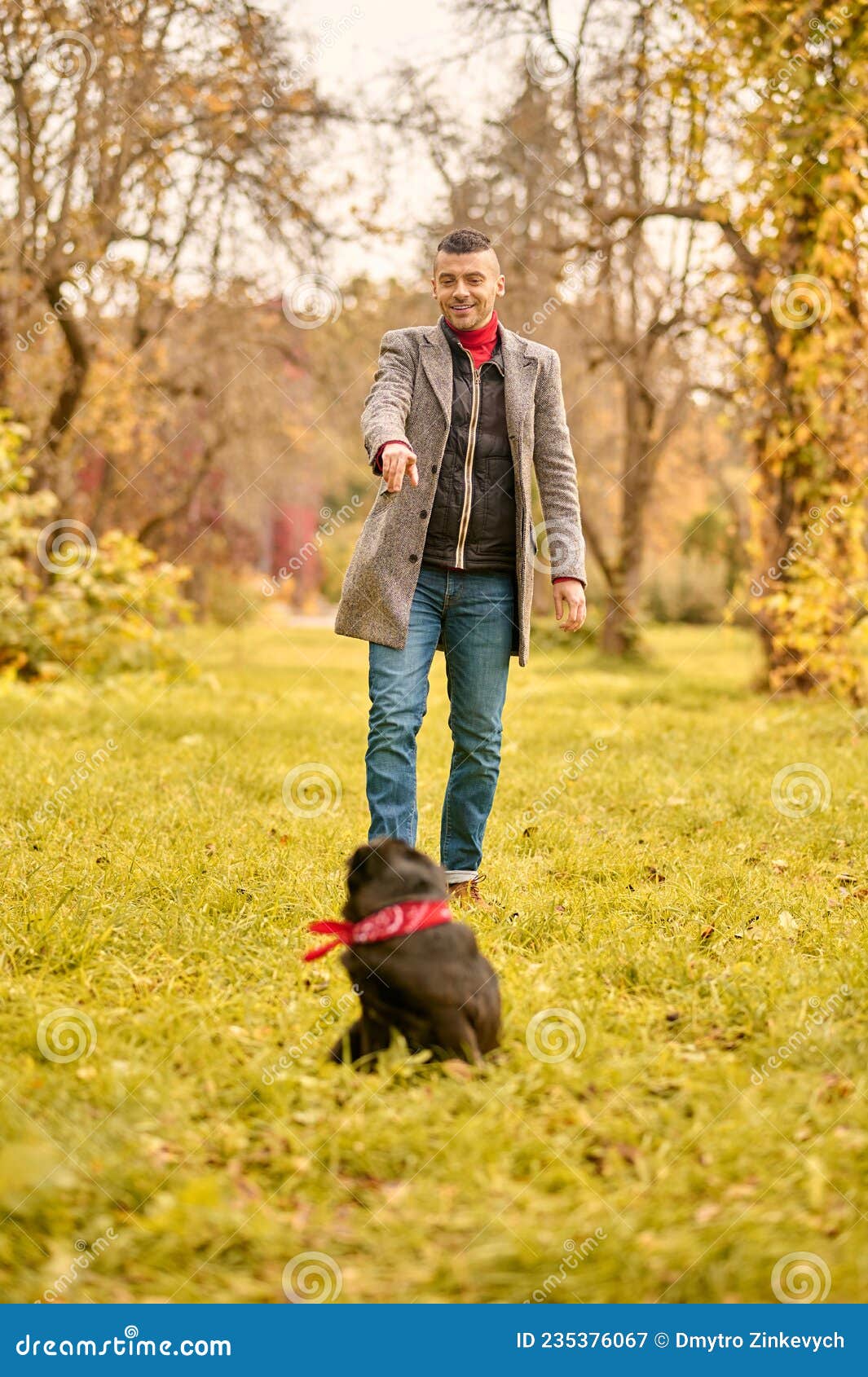 A Man Training His Dog in the Park Stock Image - Image of command ...