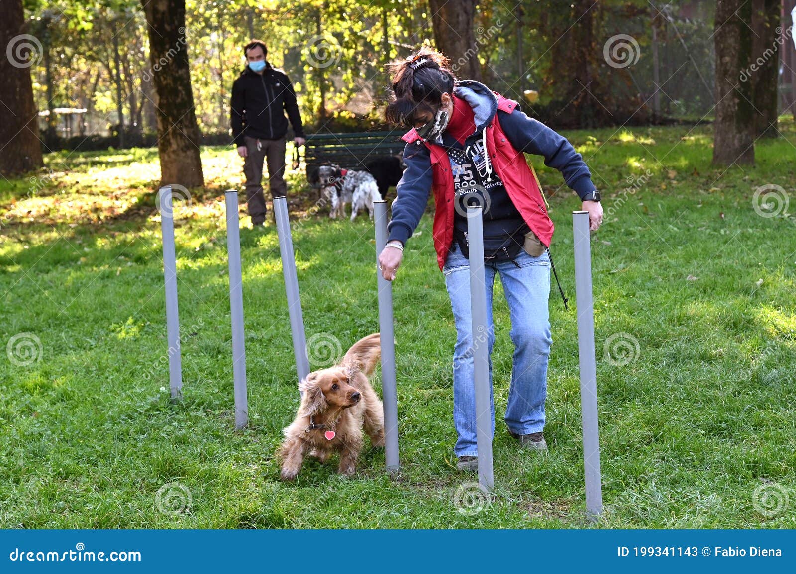 Dog Training Obstacle Course Editorial Stock Photo - Image of agility ...