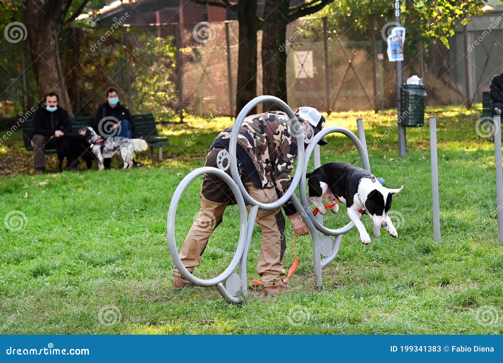 Dog Training Obstacle Course Editorial Stock Photo - Image of outside ...