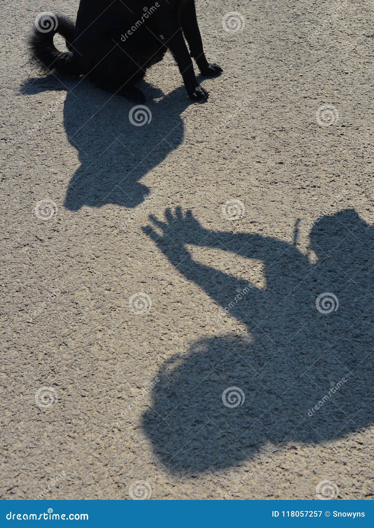 Dog Training - Woman and Dog Shadows Stock Image - Image of foot, aware ...