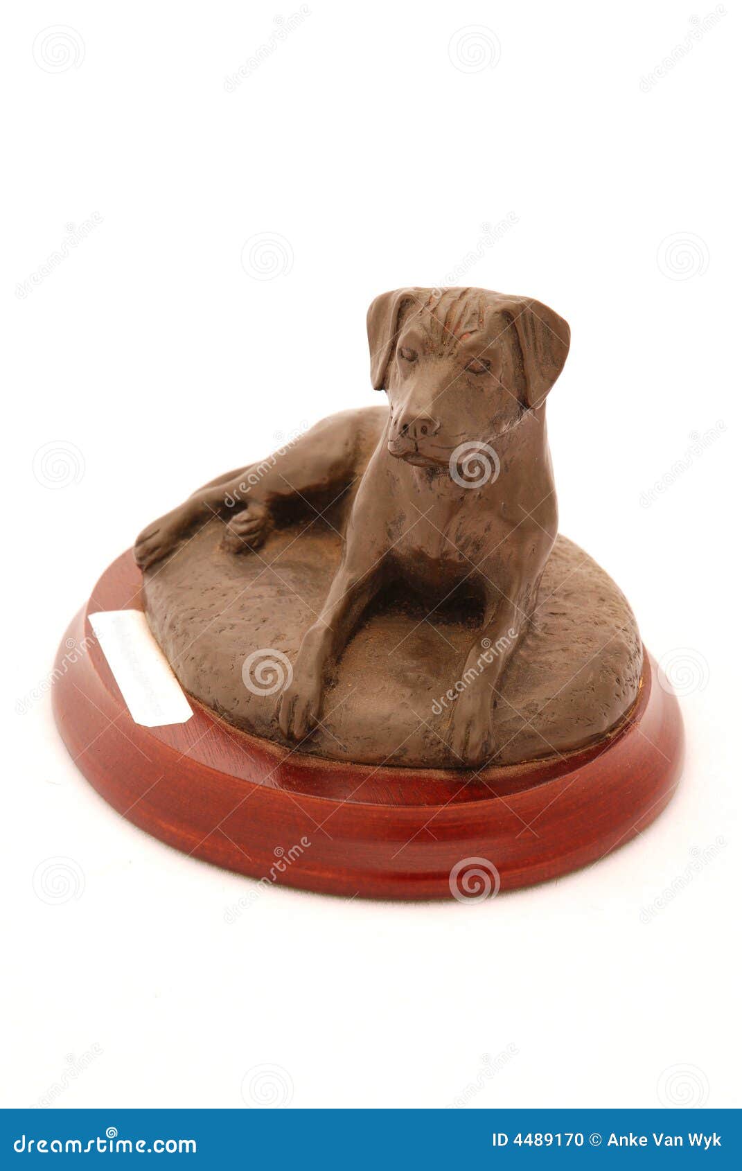 Dog trophy stock photo. Image of present, carnivore, gifts - 4489170