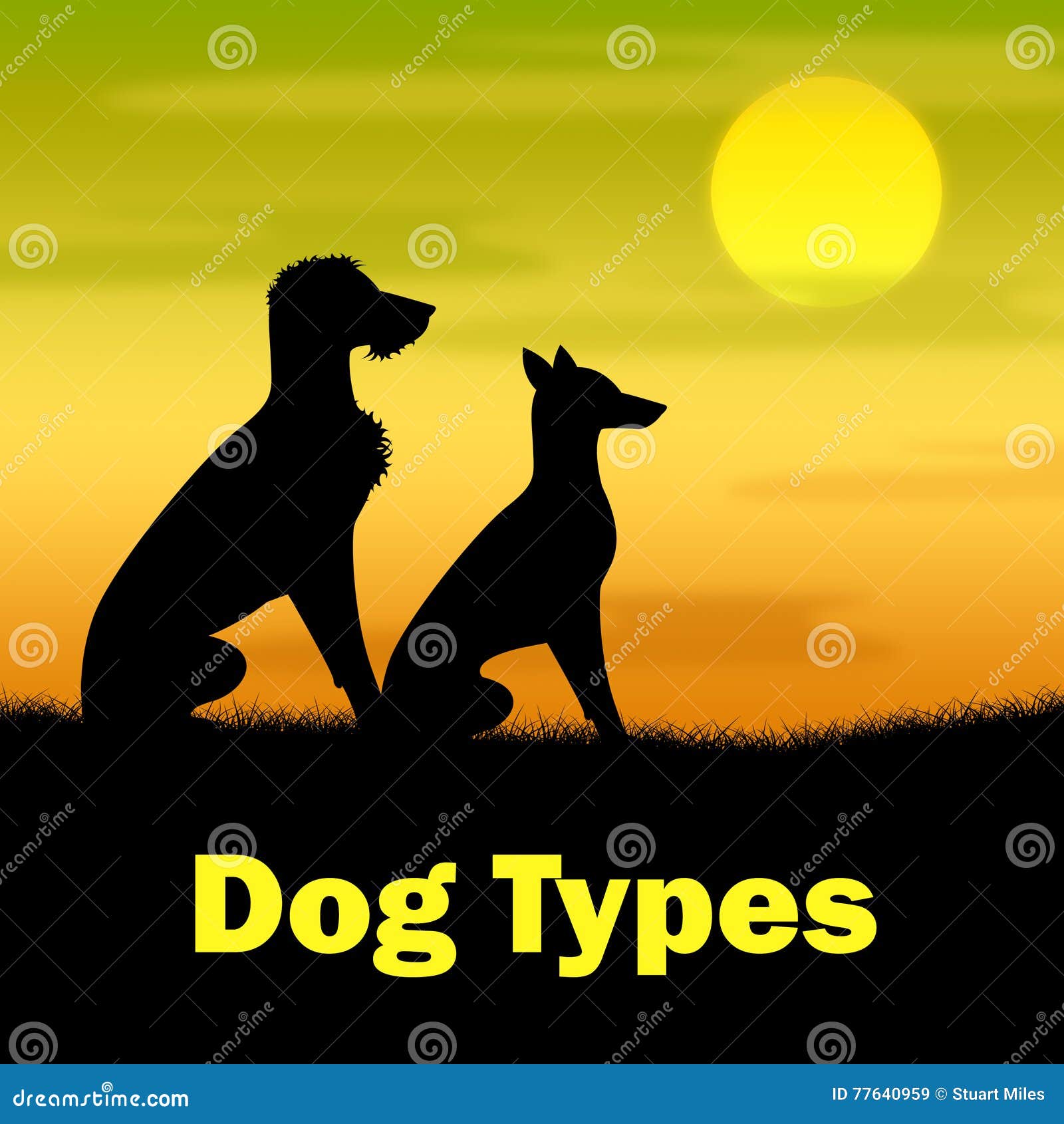 Dog Types Represents Pups Categories and Variety Stock Illustration ...