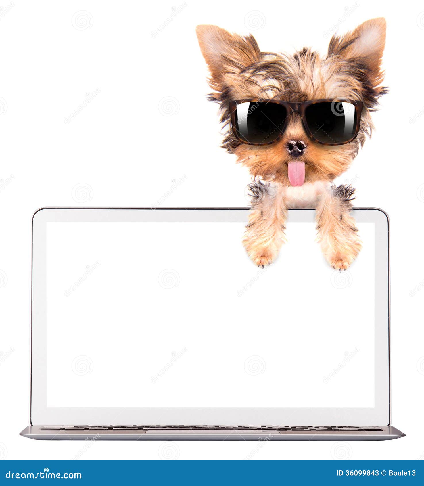 Dog using a computer stock image. Image of tablet, screen - 36099843