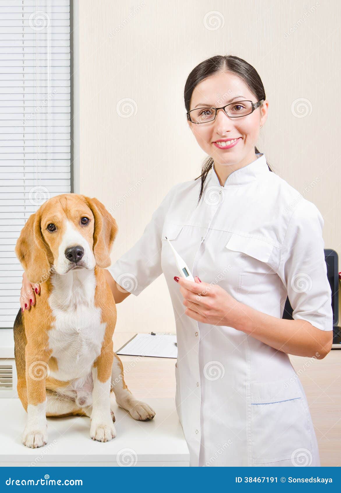 Dog at the vet stock image. Image of person, medical - 38467191