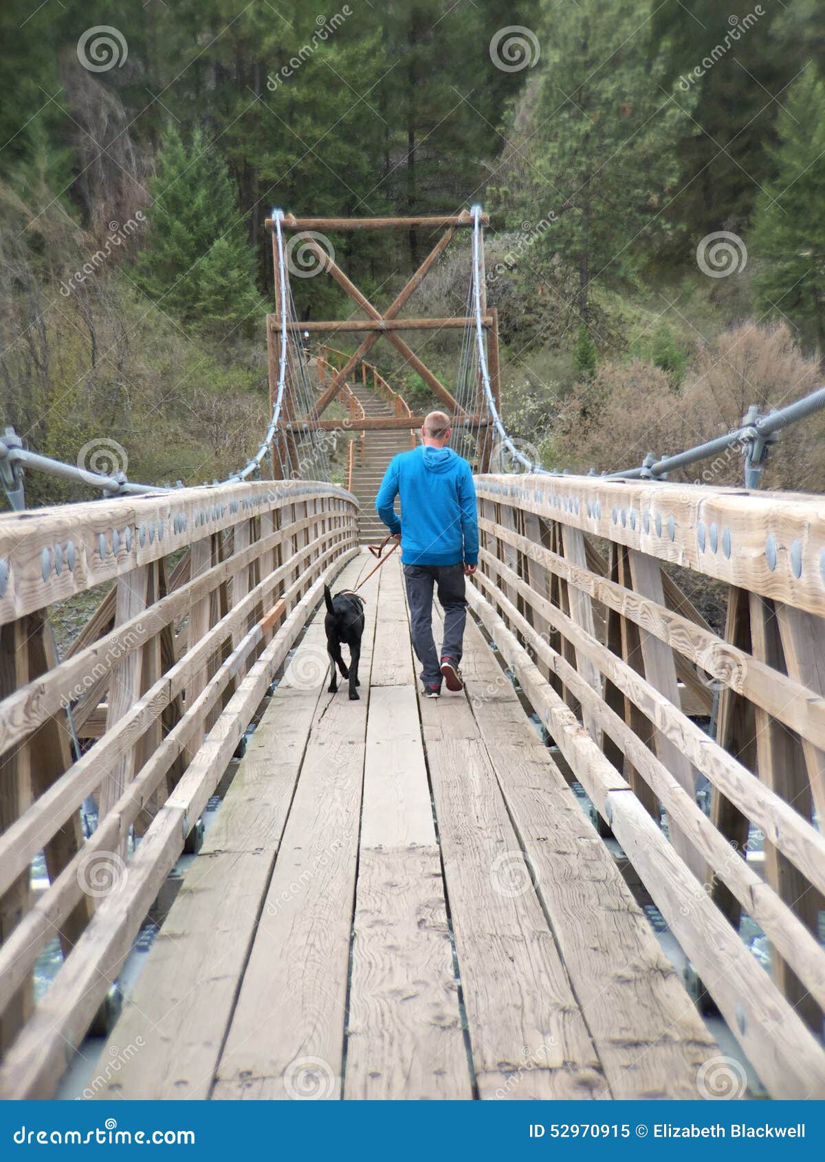 Dog walk stock image. Image of suspension, bridge, crossing - 52970915