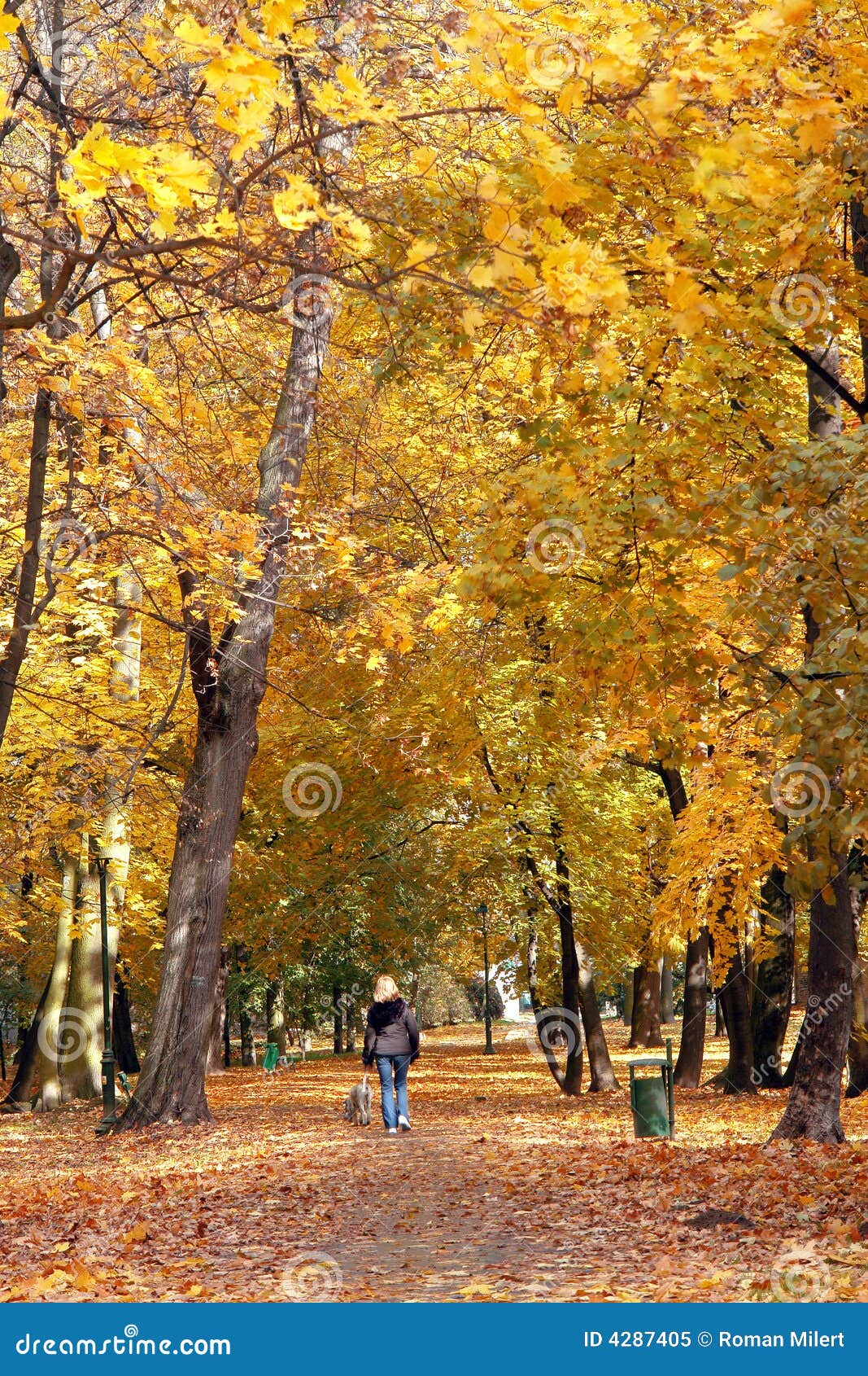 Dog walking in fall park stock image. Image of recreation - 4287405