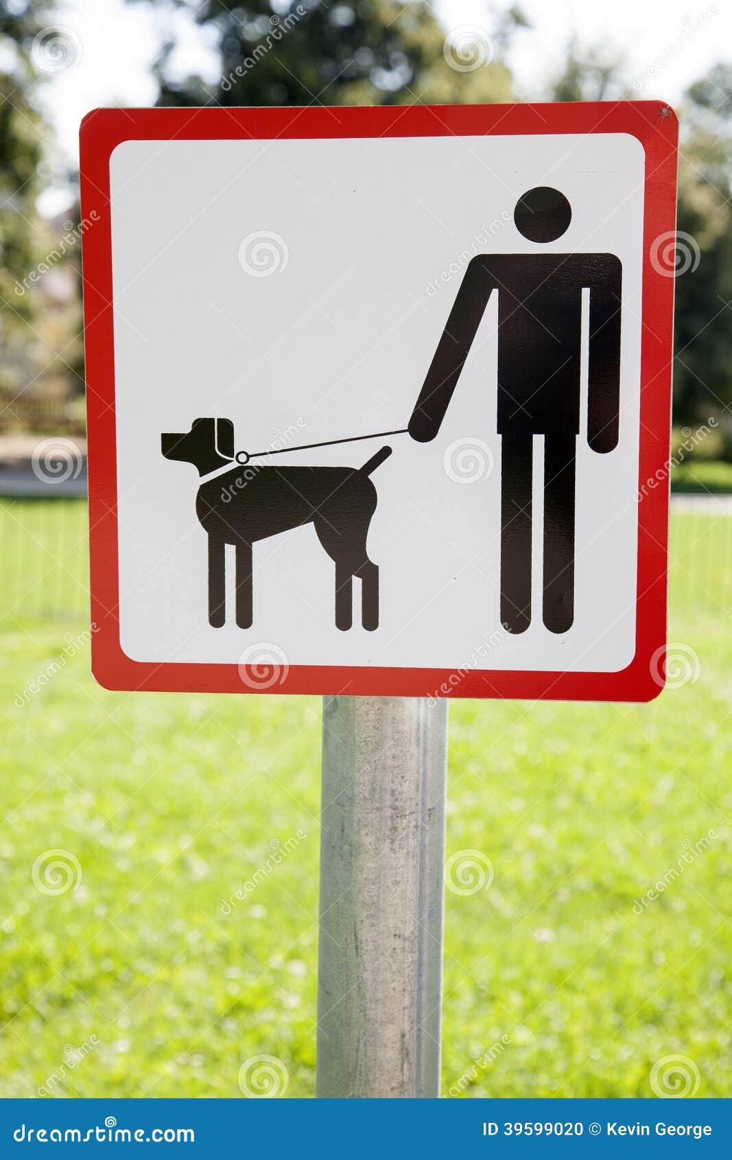 Dog Walking Sign stock photo. Image of pavement, design - 39599020